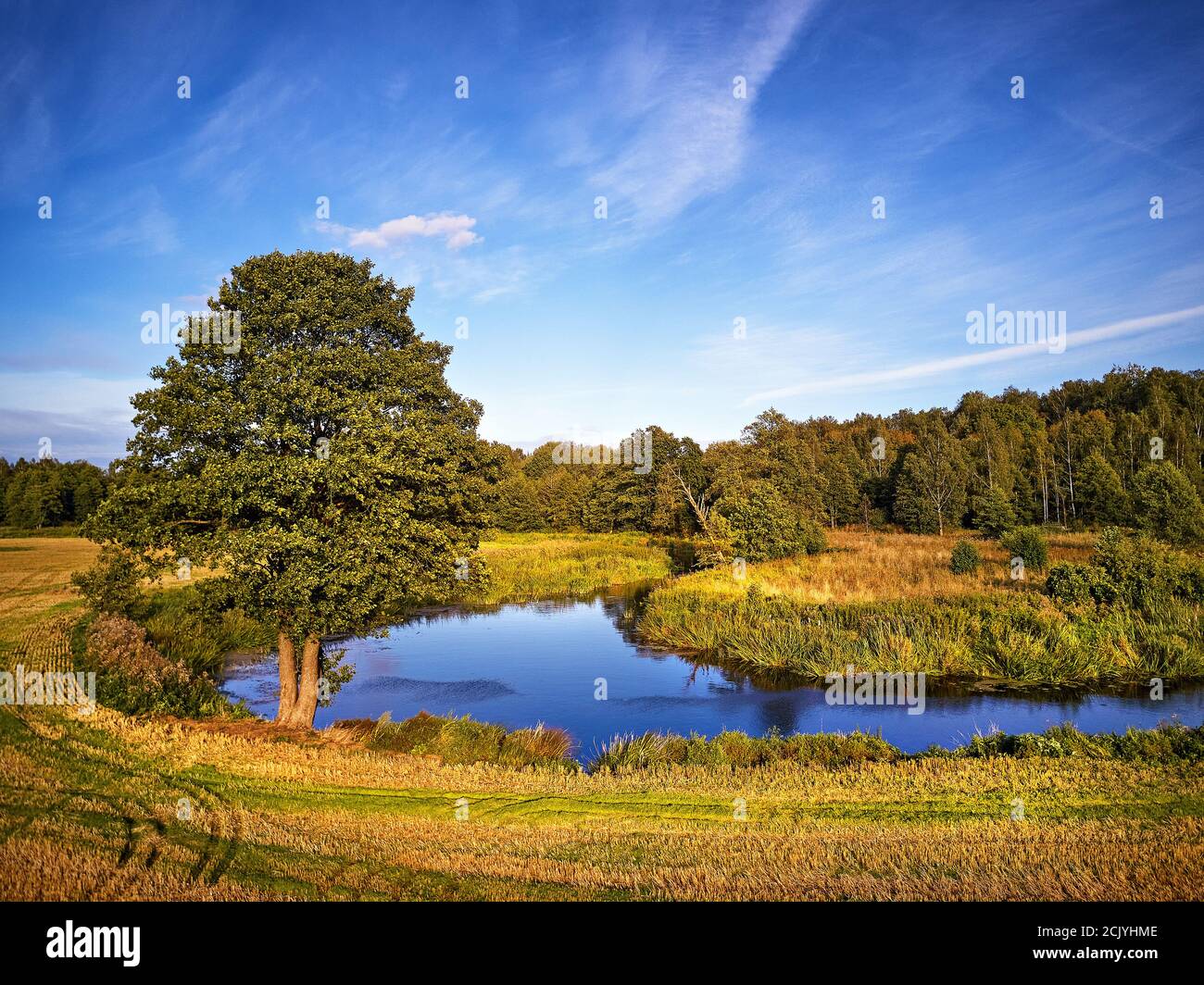 Sunny September day. Autumn landscape in evening sunlight from above ...
