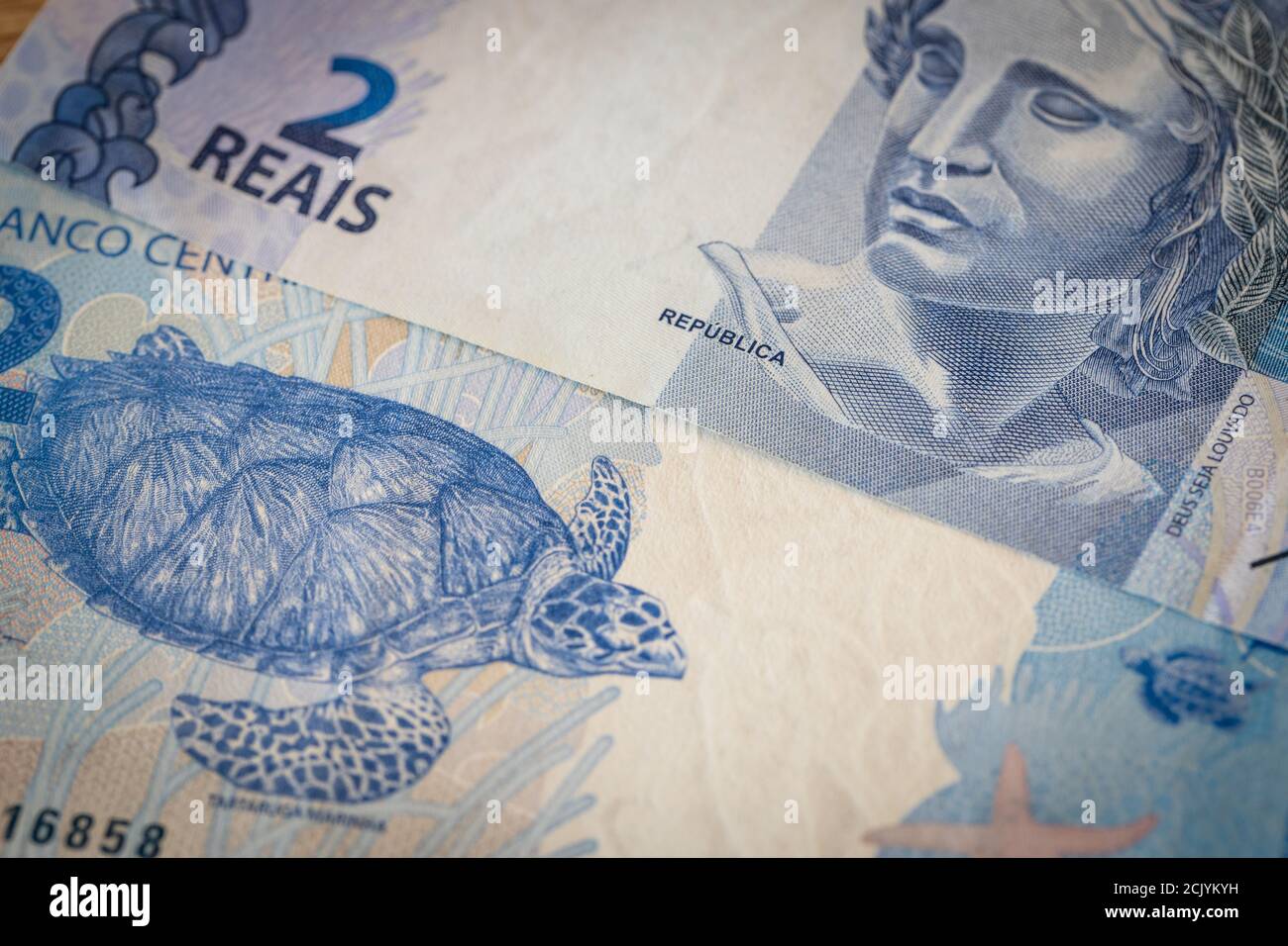 Brazilian money, Two Reais with a turtle Stock Photo - Alamy