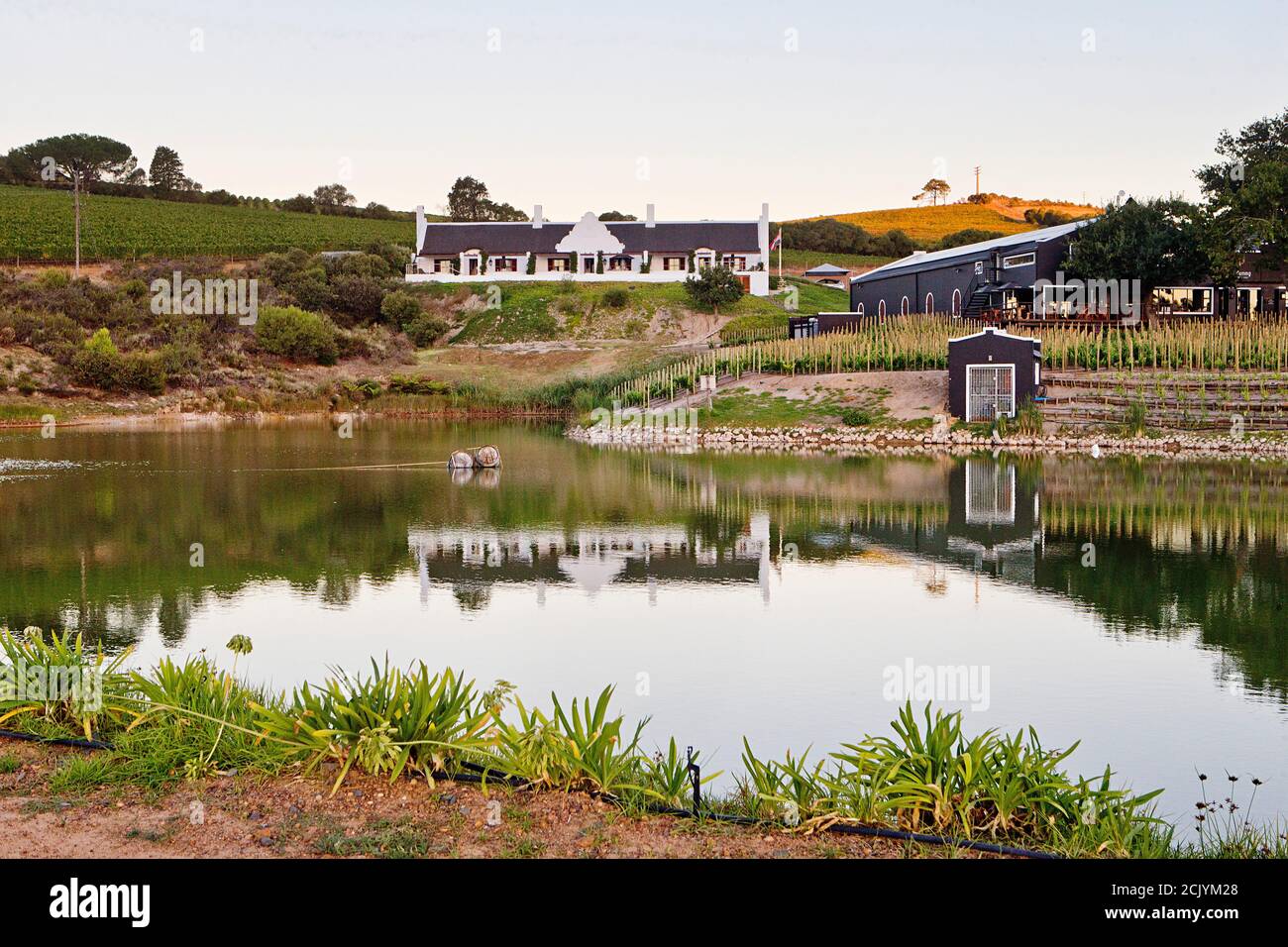Devon valley stellenbosch hi-res stock photography and images - Alamy