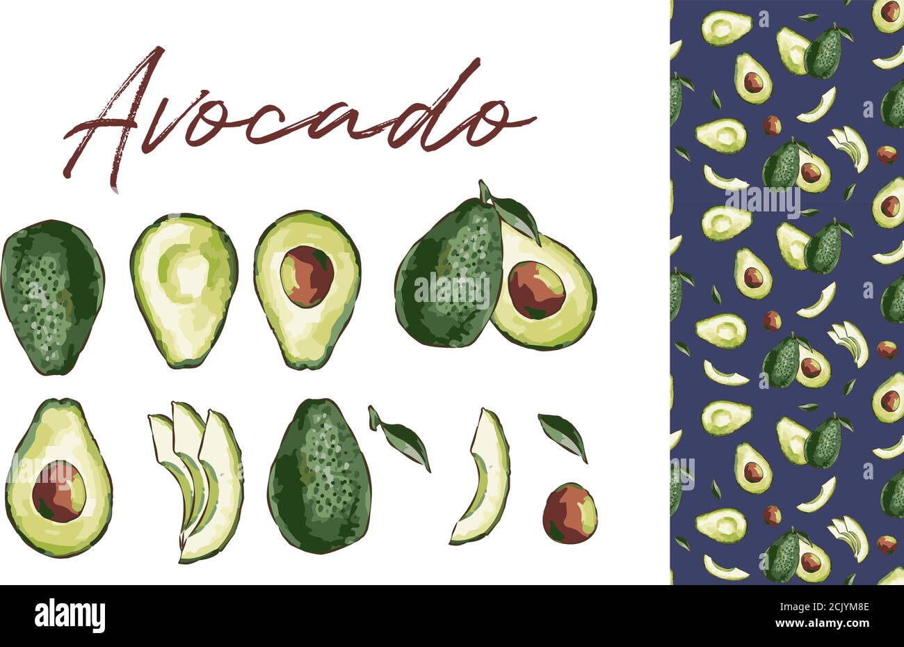 Background for avocado oil label, packaging. Illustration of fresh ...