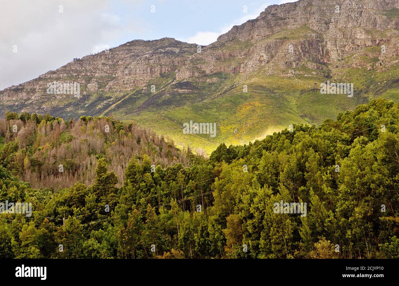 Rustenberg Wine Estate, Stellenbosch, South Africa Stock Photo - Alamy