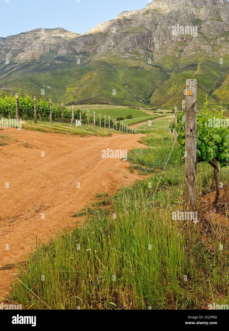 Rustenberg Wine Estate, Stellenbosch, South Africa Stock Photo - Alamy