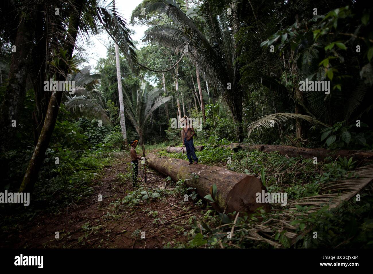 Uru eu wau wau hi-res stock photography and images - Alamy