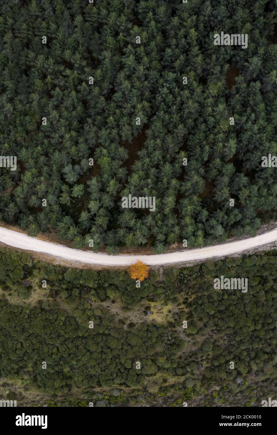 Aerial shot of a beautiful dense forest Stock Photo - Alamy