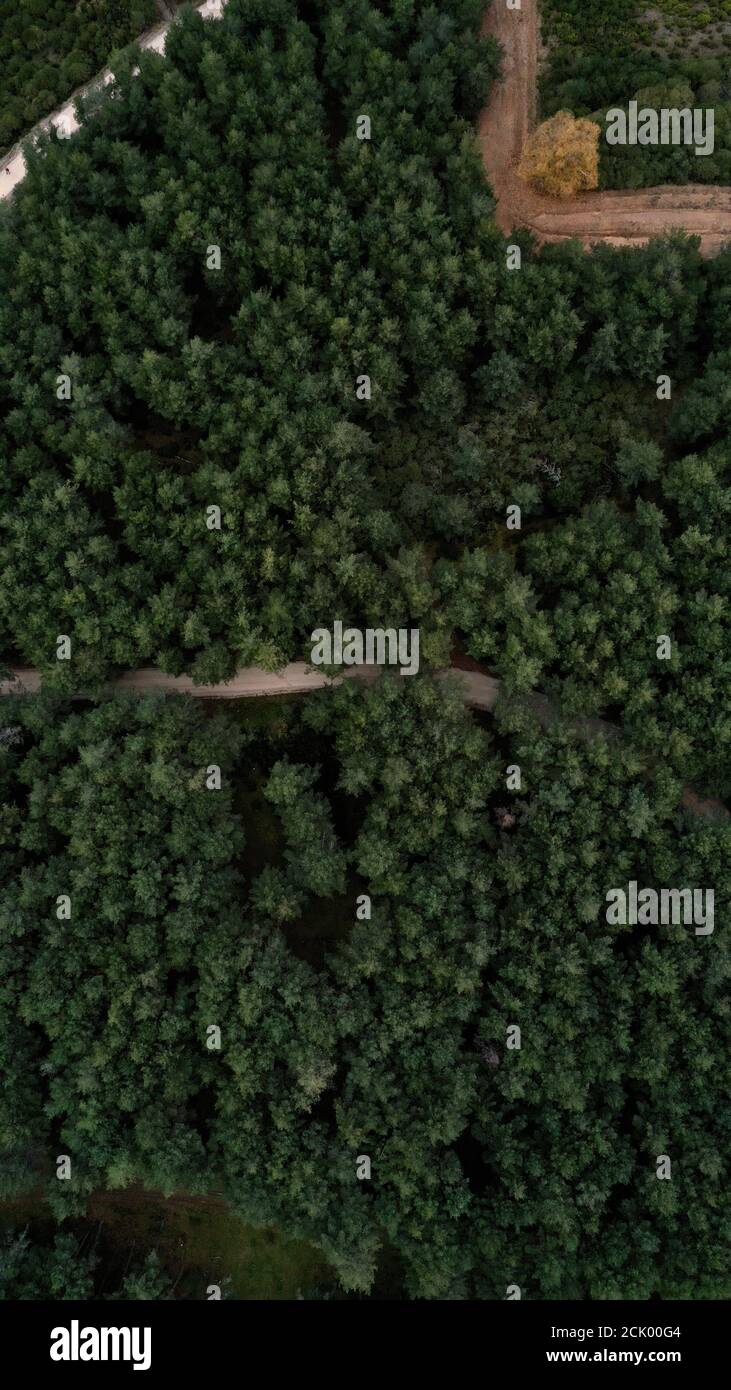 Aerial shot of a beautiful dense forest Stock Photo - Alamy