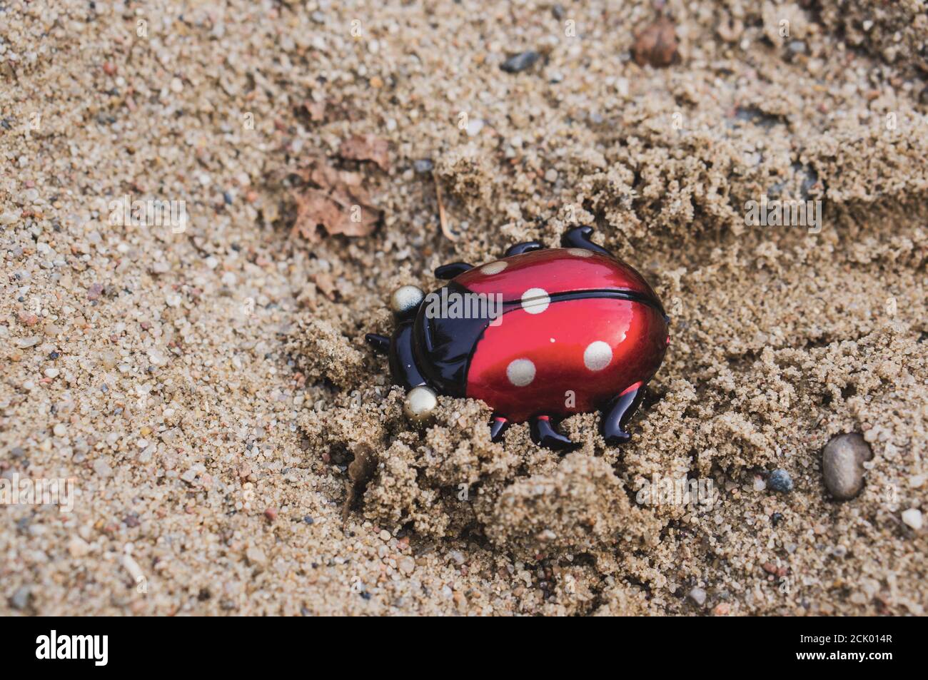 Overhead shot of a red plastic toy ladybird laying in sand Stock Photo ...
