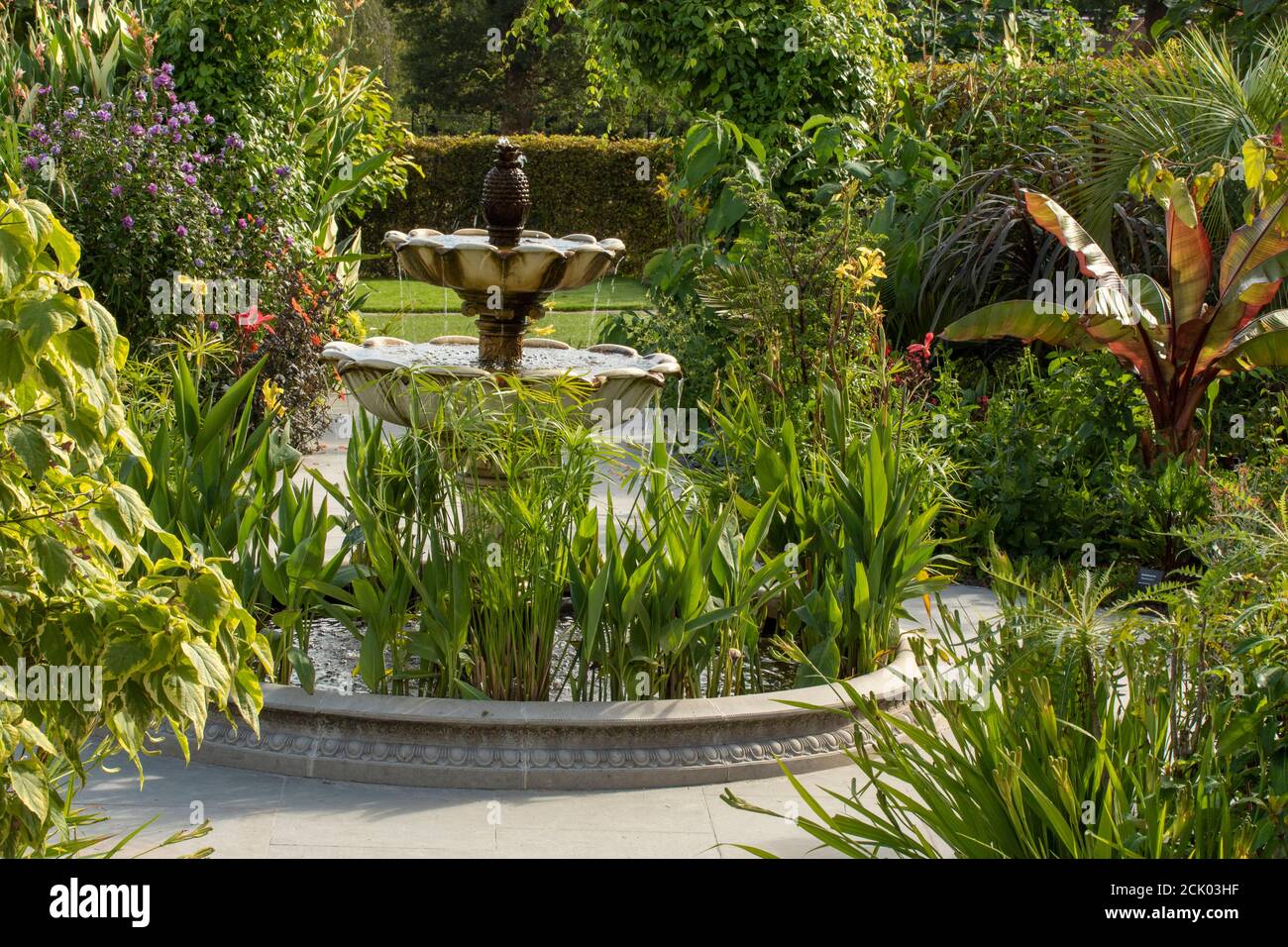 Exotic garden – RHS Wisley Stock Photo - Alamy