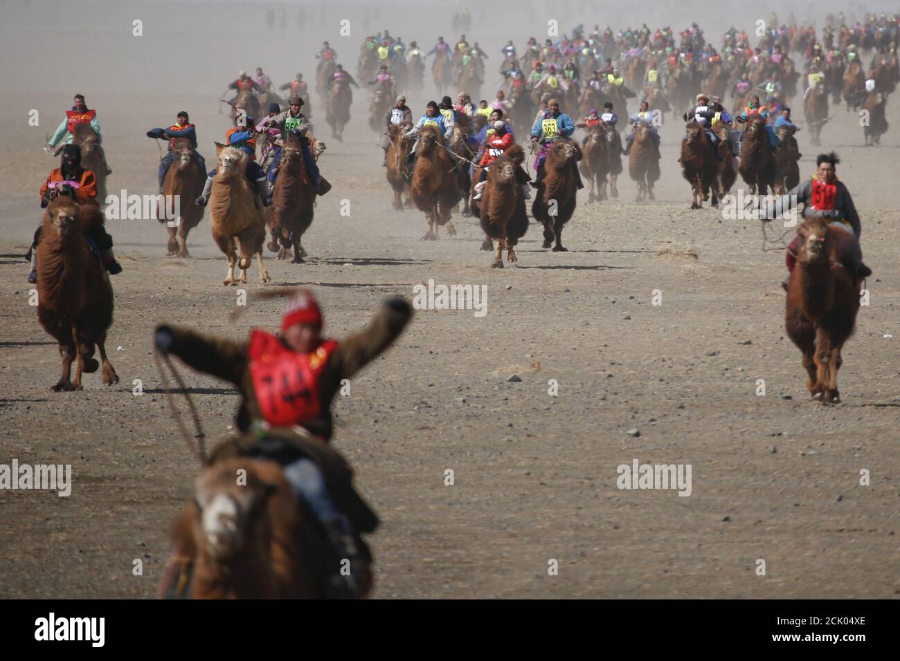 Gobi camel festival hi-res stock photography and images - Alamy