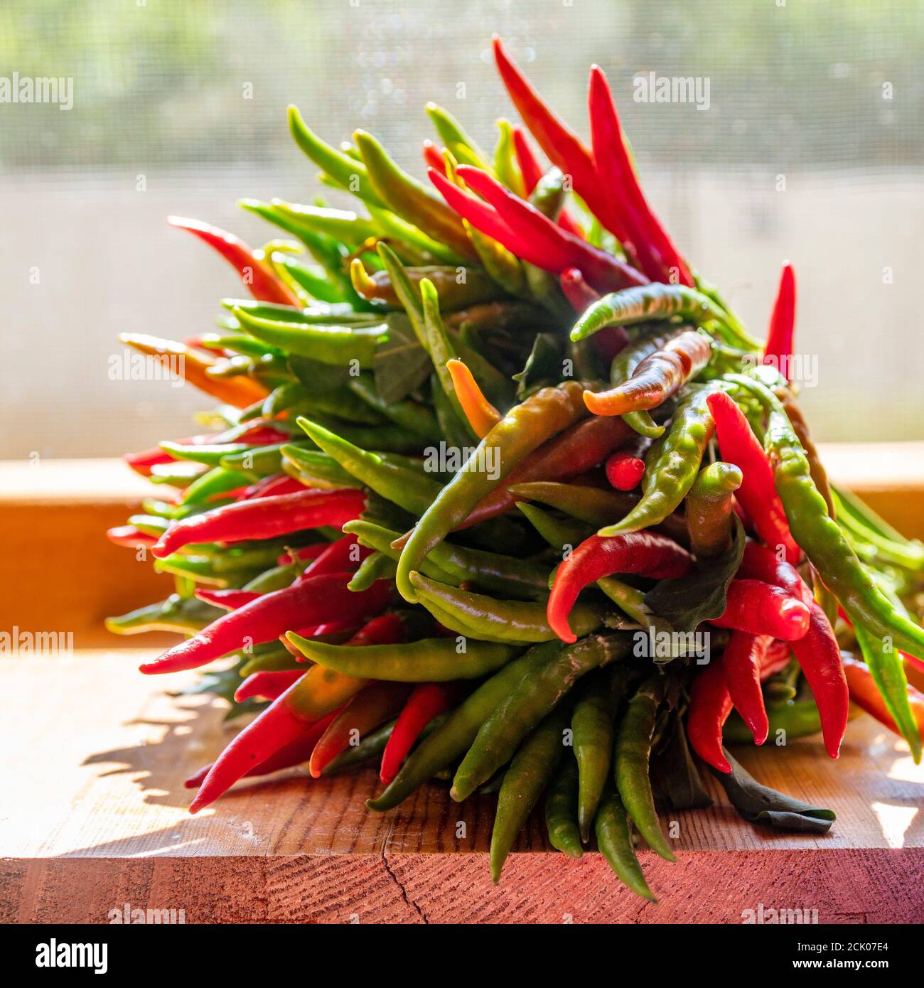A bundle of freshly harvested green and red chili peppers on wooden ...