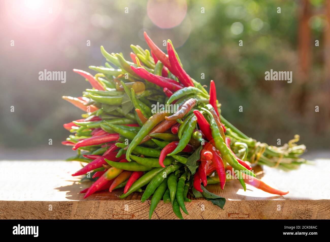 A bundle of freshly harvested green and red chili peppers at sun light ...