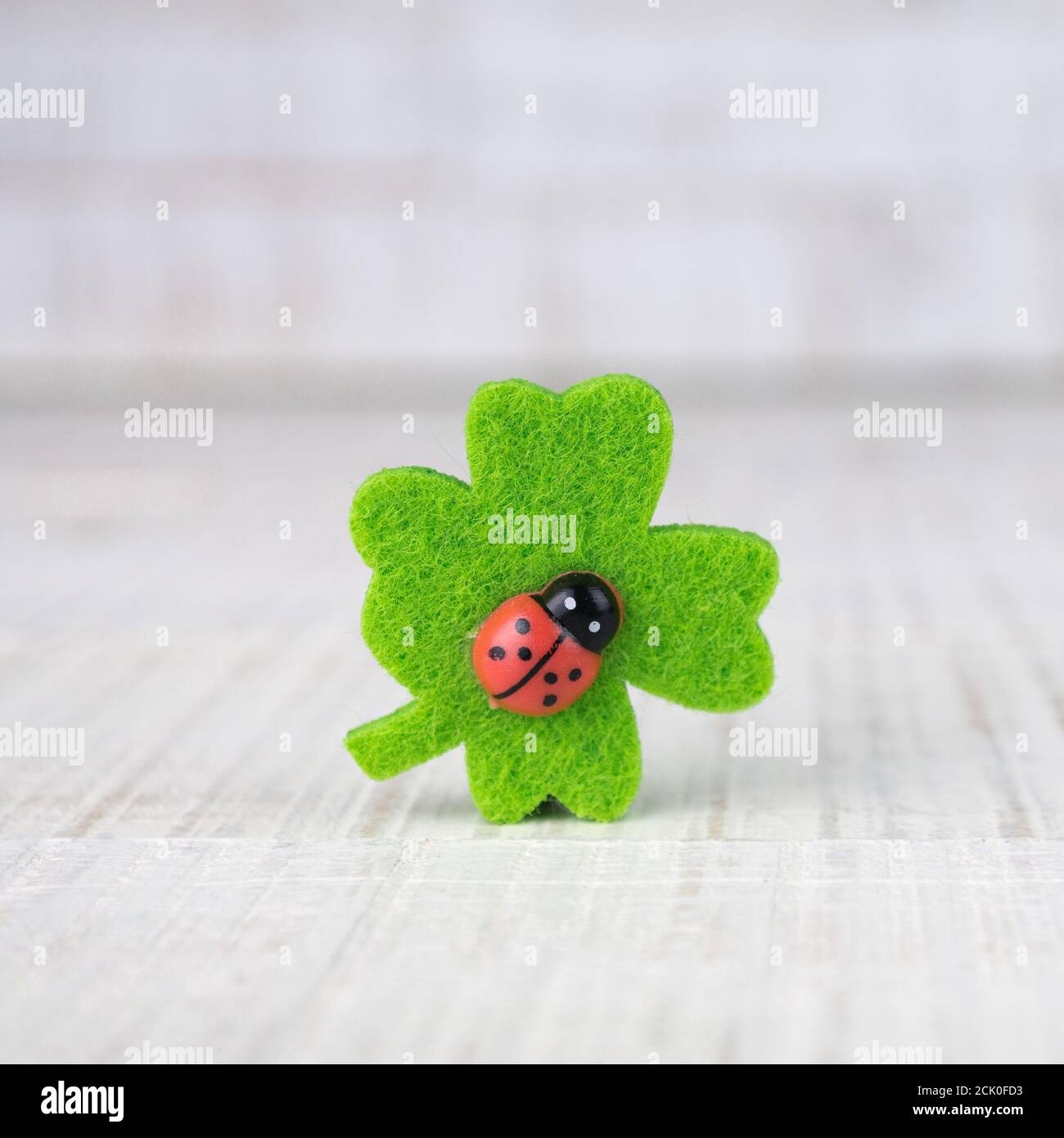 Four-leaf clover with a ladybug on wooden background Stock Photo - Alamy
