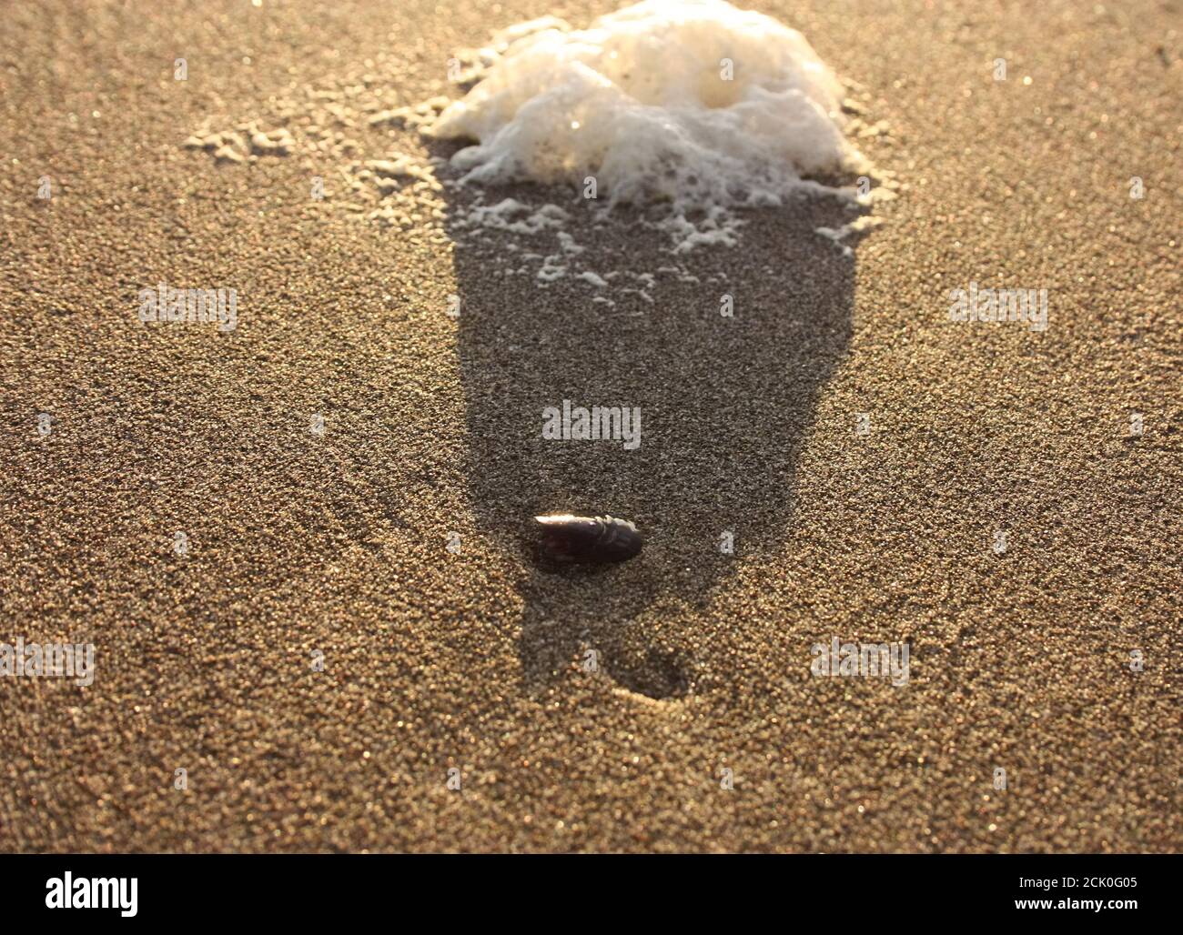 Strange sea water foam hi-res stock photography and images - Alamy