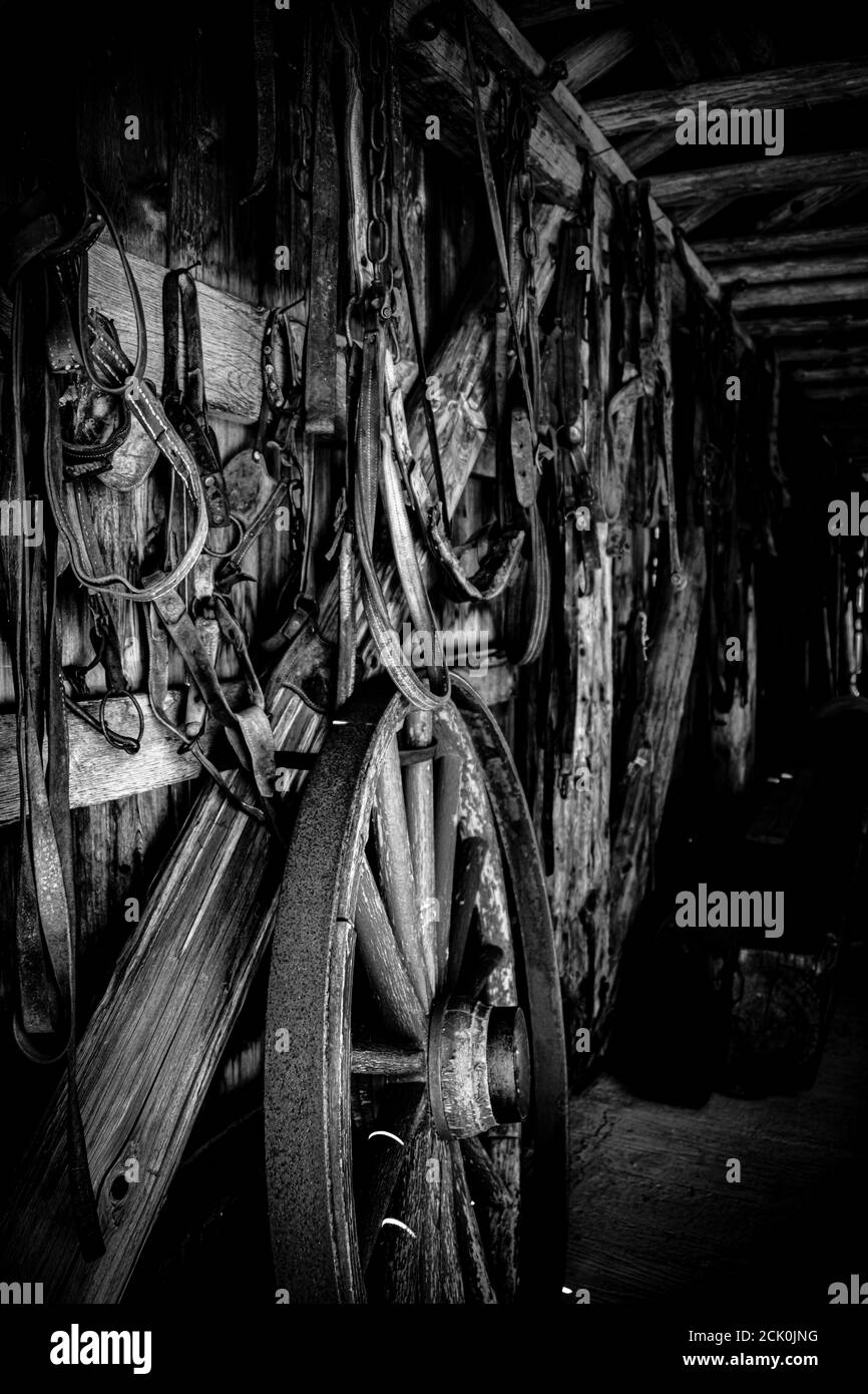 Harness farming Black and White Stock Photos & Images - Alamy
