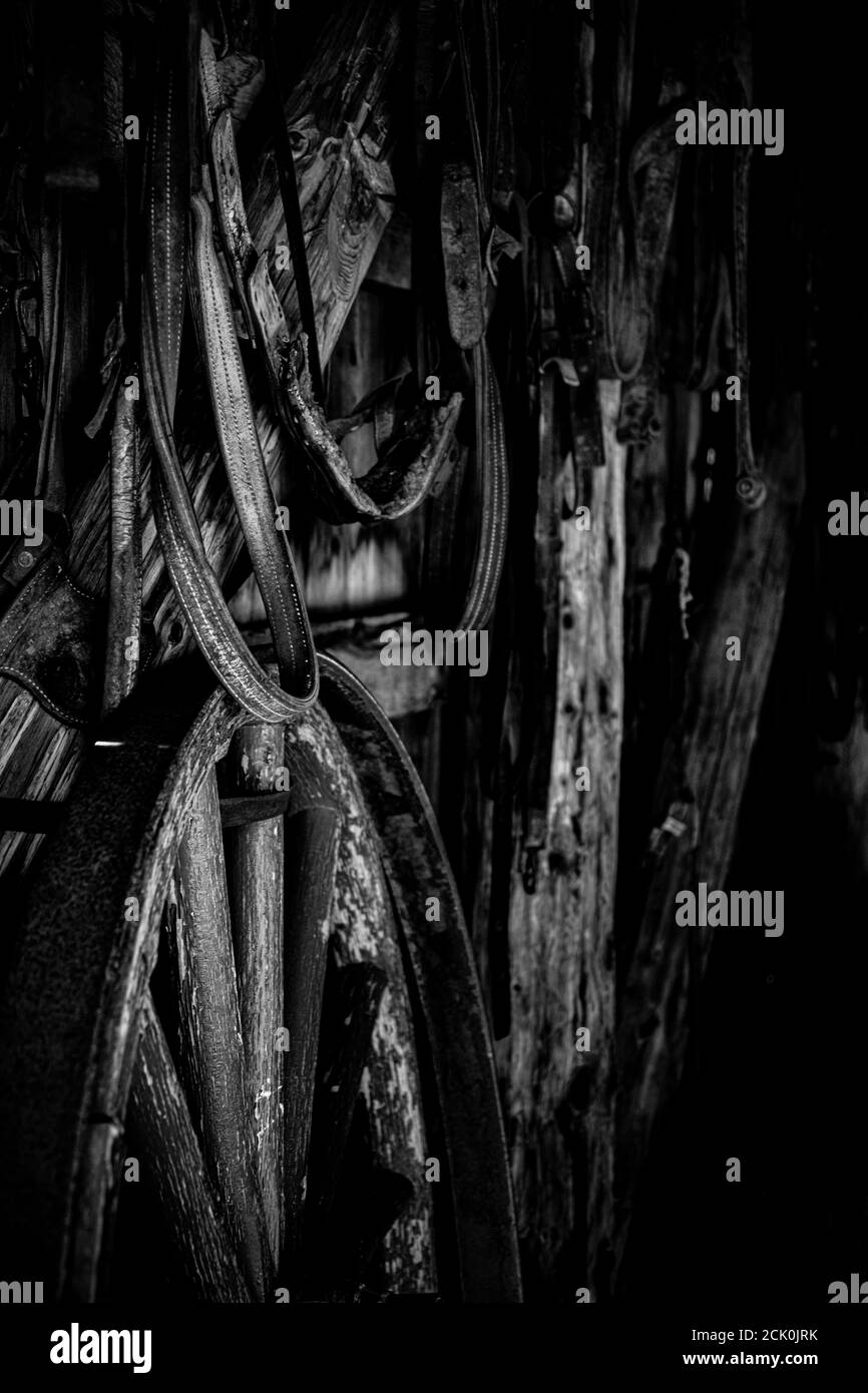 Harness farming Black and White Stock Photos & Images - Alamy