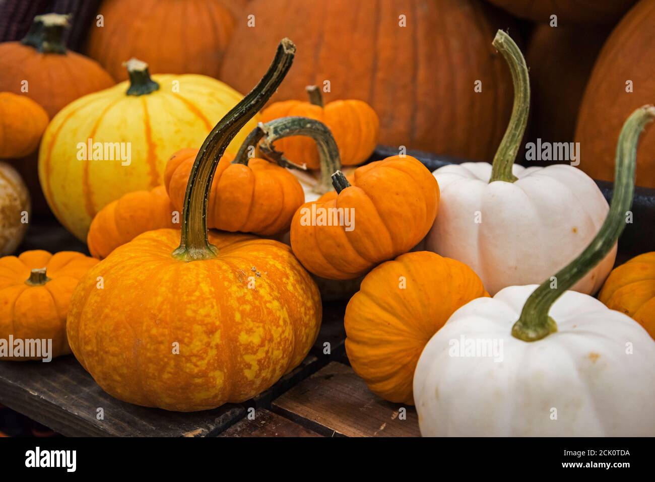 Grocery store display hi-res stock photography and images - Alamy