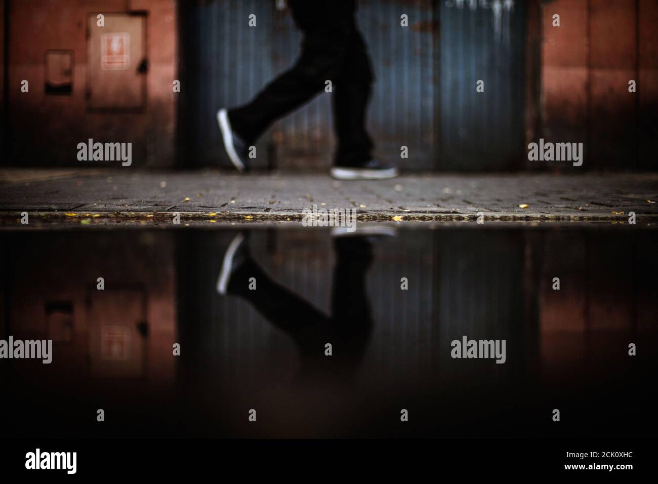 Legs of a person walking through the sidewalk reflected in a puddle ...