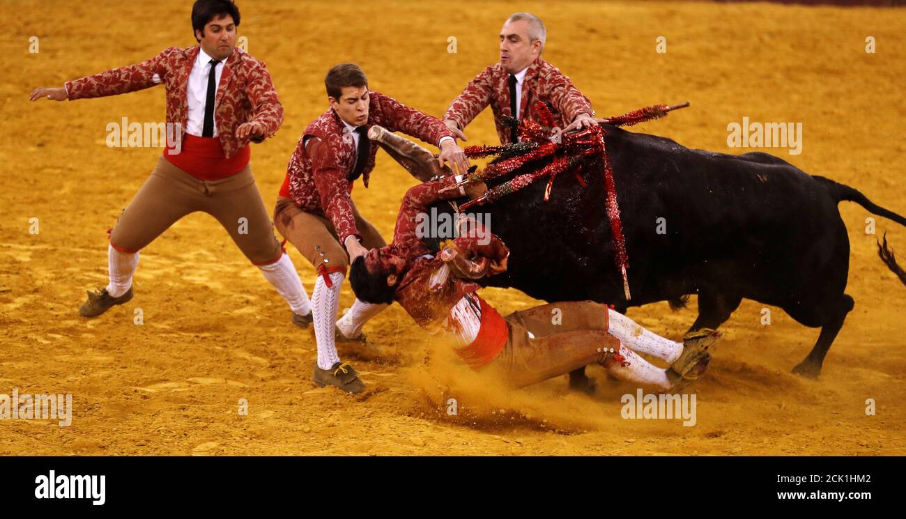 Forcados hi-res stock photography and images - Alamy