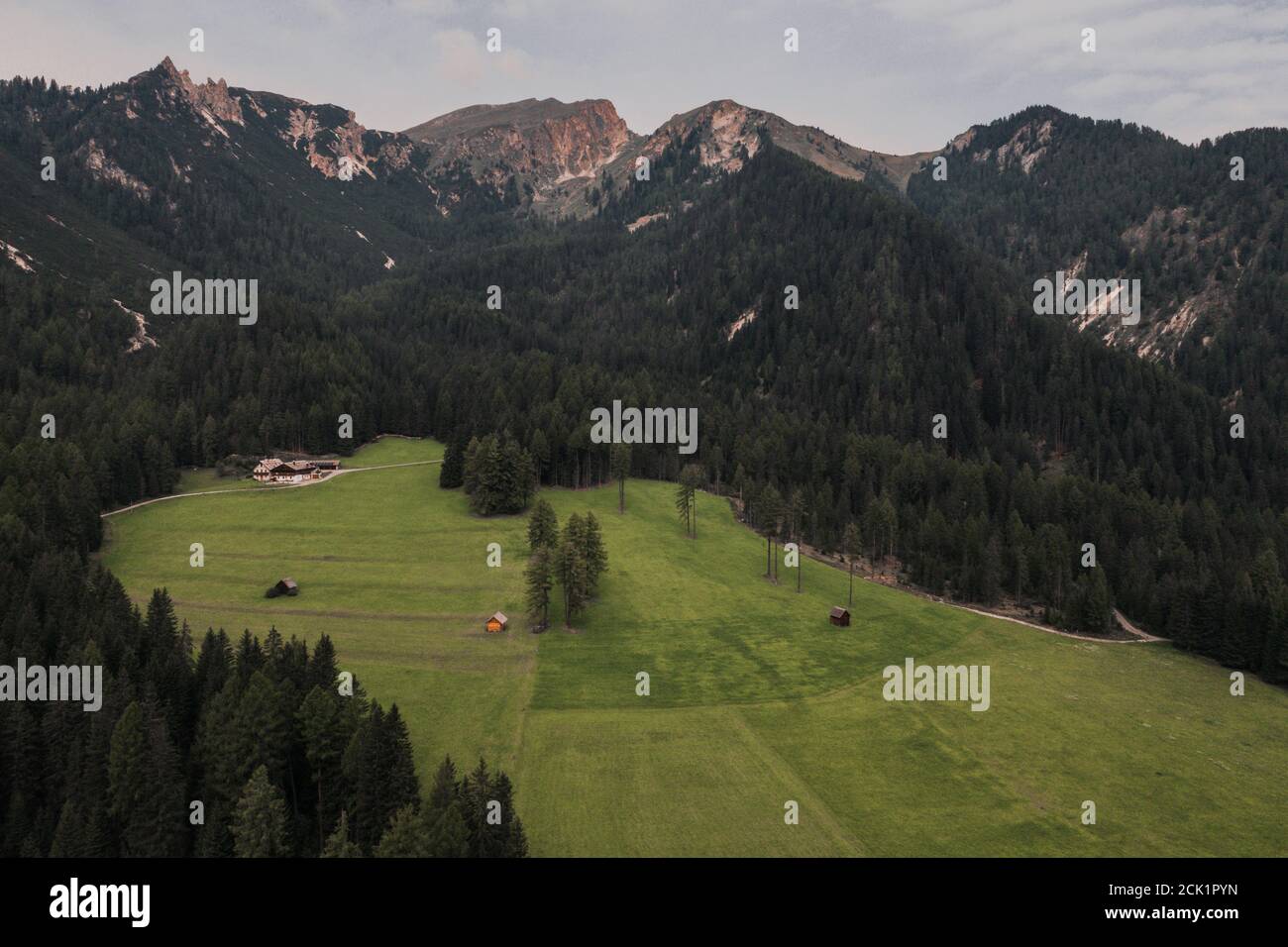 Amazing aerial view of green lawn at sunrise Stock Photo - Alamy