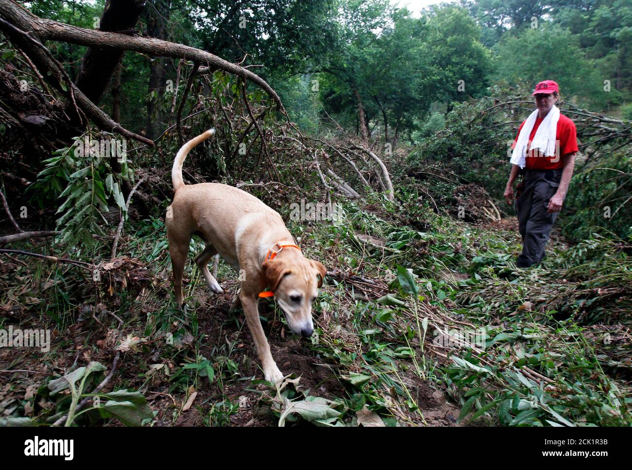 Search and rescue dog flood hi-res stock photography and images - Alamy