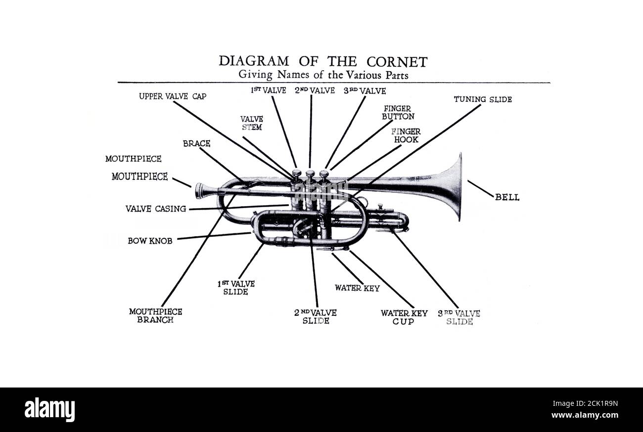 A nice antique diagram/illustration of the musical cornet Stock Photo ...