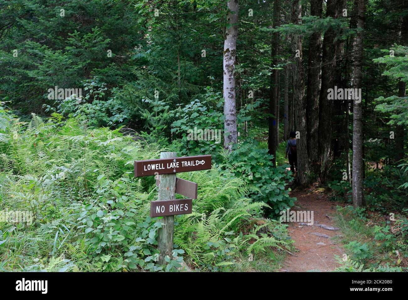 Wooden direction signs by the Lowell Lake Trail.Lowell Lake State Park ...