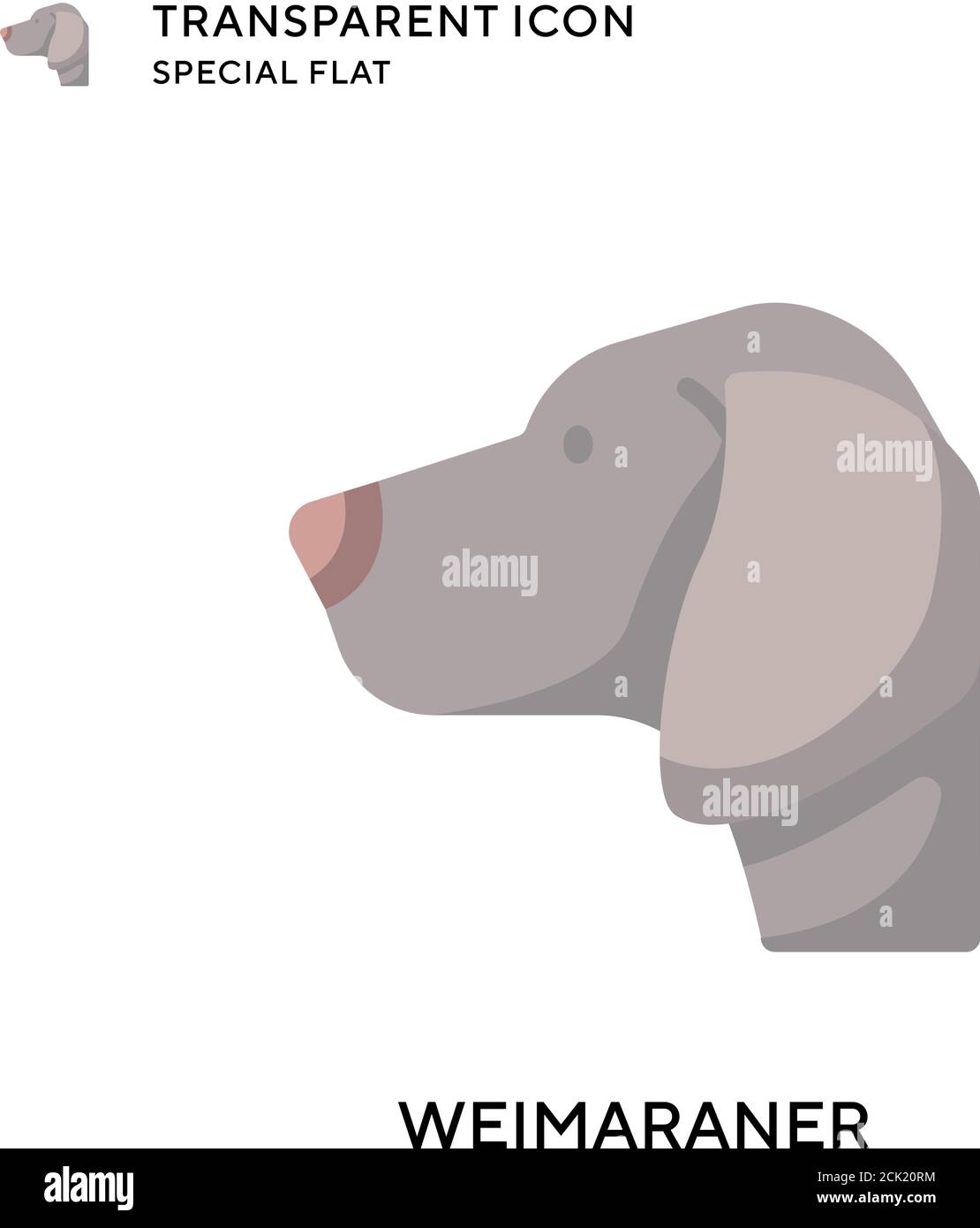 Weimaraner studio Stock Vector Images - Alamy