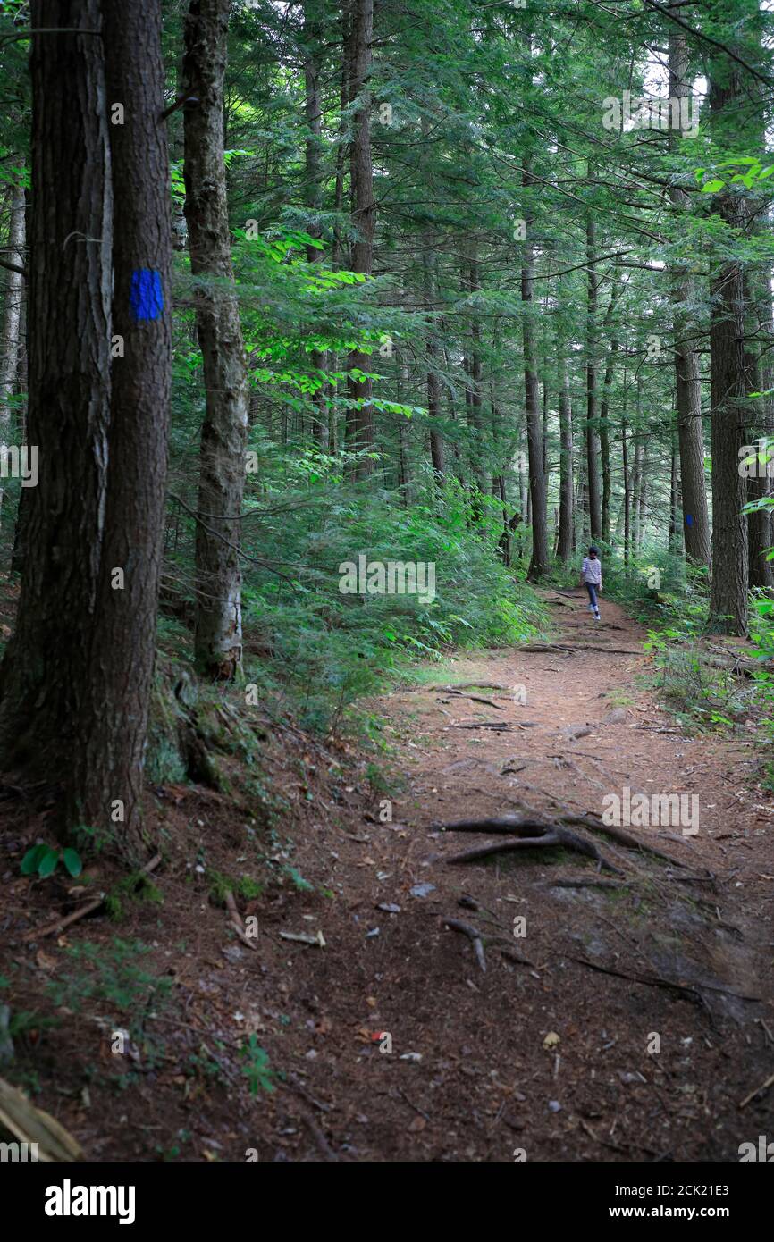 Lowell Lake Trail in Lowell Lake State Park.Londonderry.Vermont.USA ...