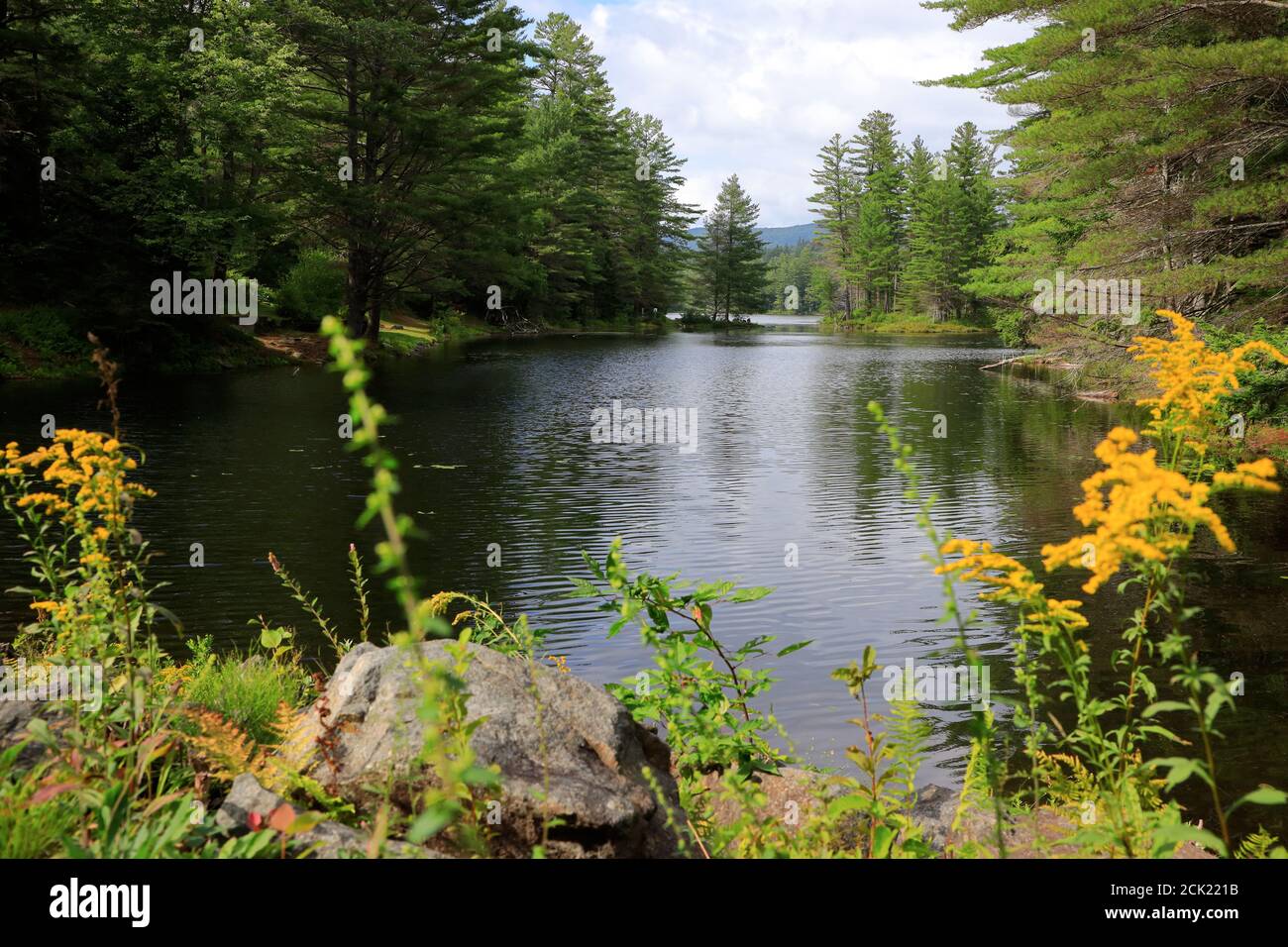 The view of Lowell Lake from Lowell Lake Trail loop in Lowell Lake ...