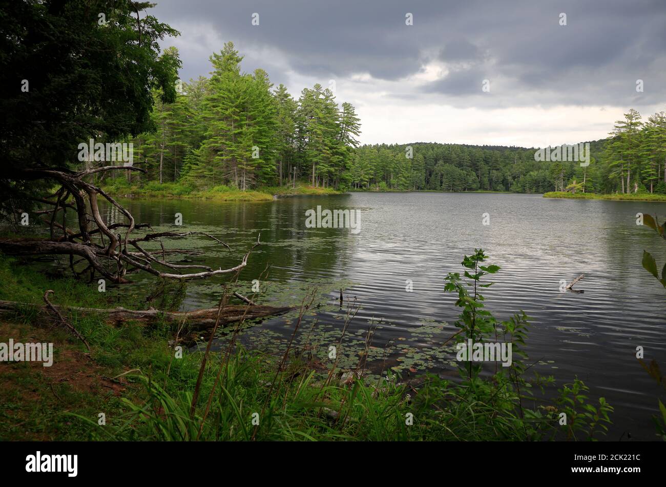 The view of Lowell Lake from Lowell Lake Trail loop in Lowell Lake ...