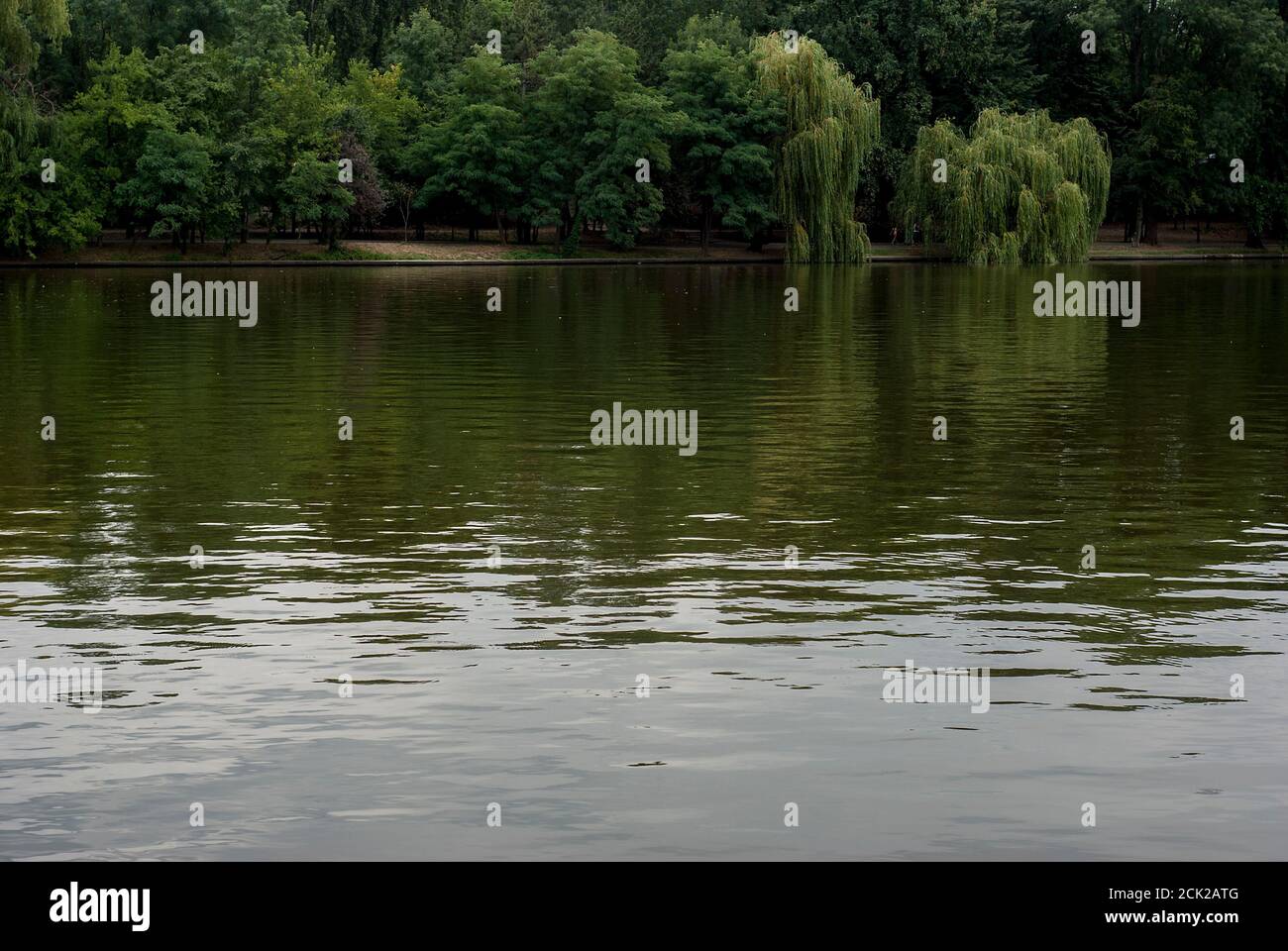 Reflection in the pond Stock Photo - Alamy