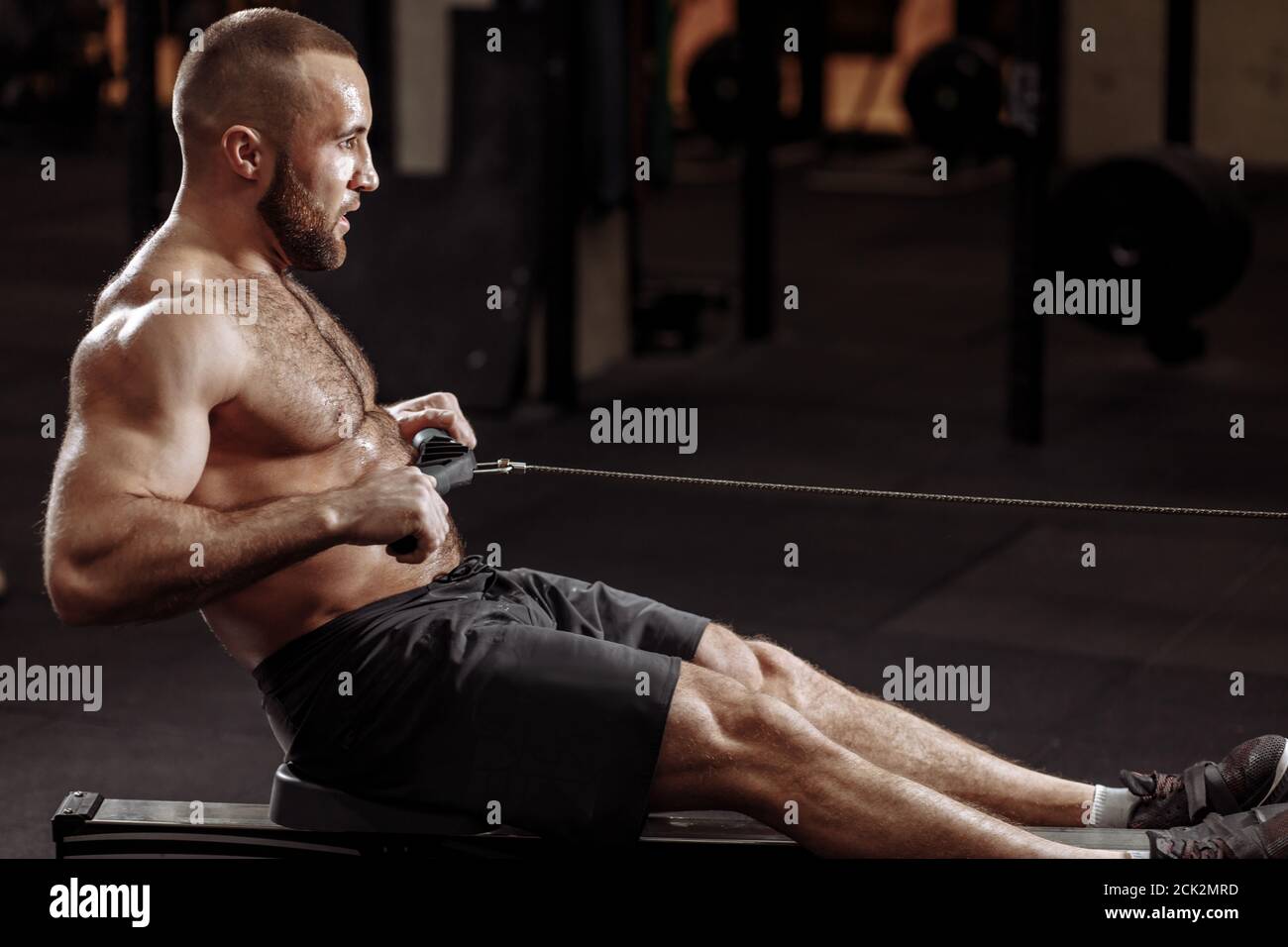 handsome young male pulling the indoor rower. side view photo ...