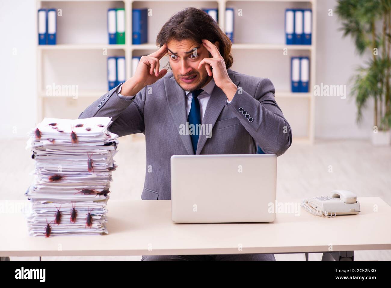 Young employee and too many cockroaches in the office Stock Photo - Alamy