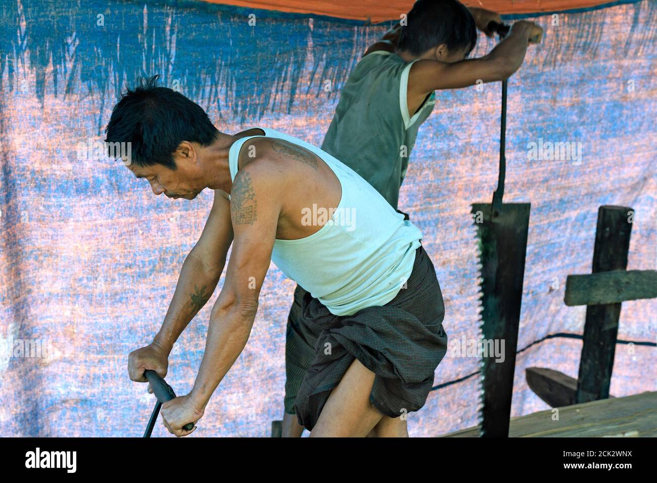 Men sawing teak wood to be used for building a boat. Inle Lake Myanmar ...