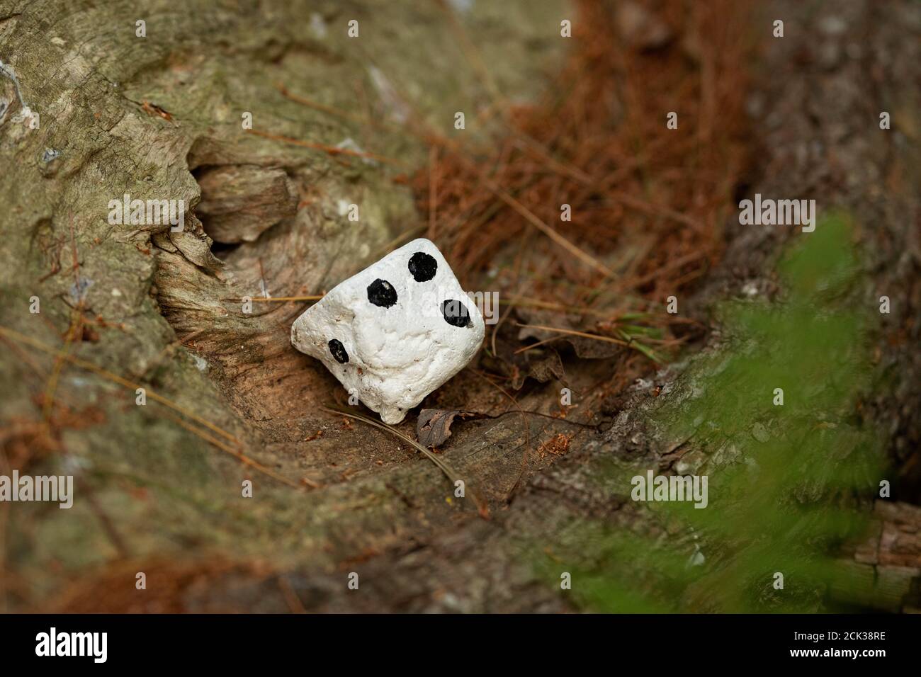 White spots on rock hi-res stock photography and images - Alamy