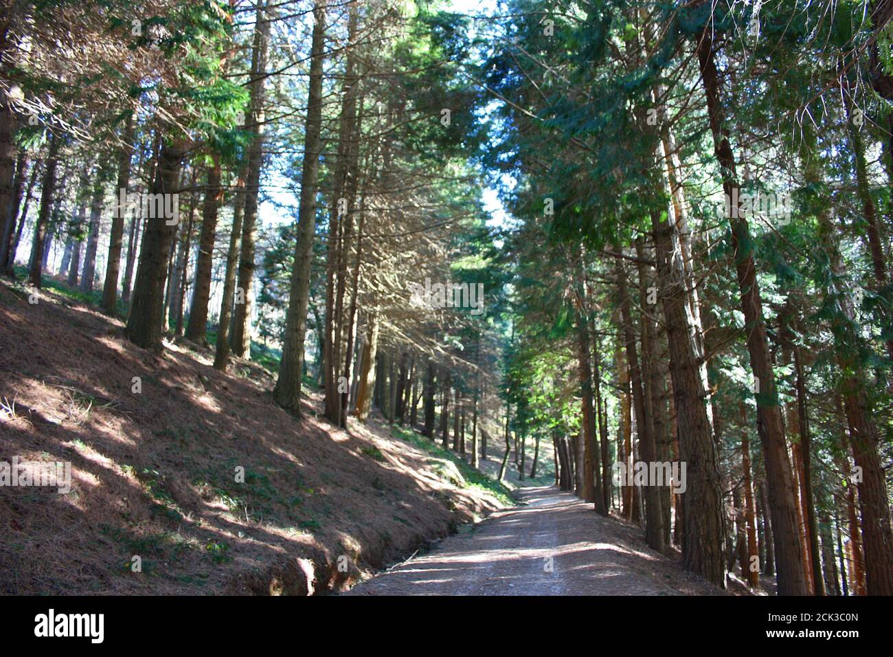 mountainous path in the hills. hiking and mountaineering. go trekking ...