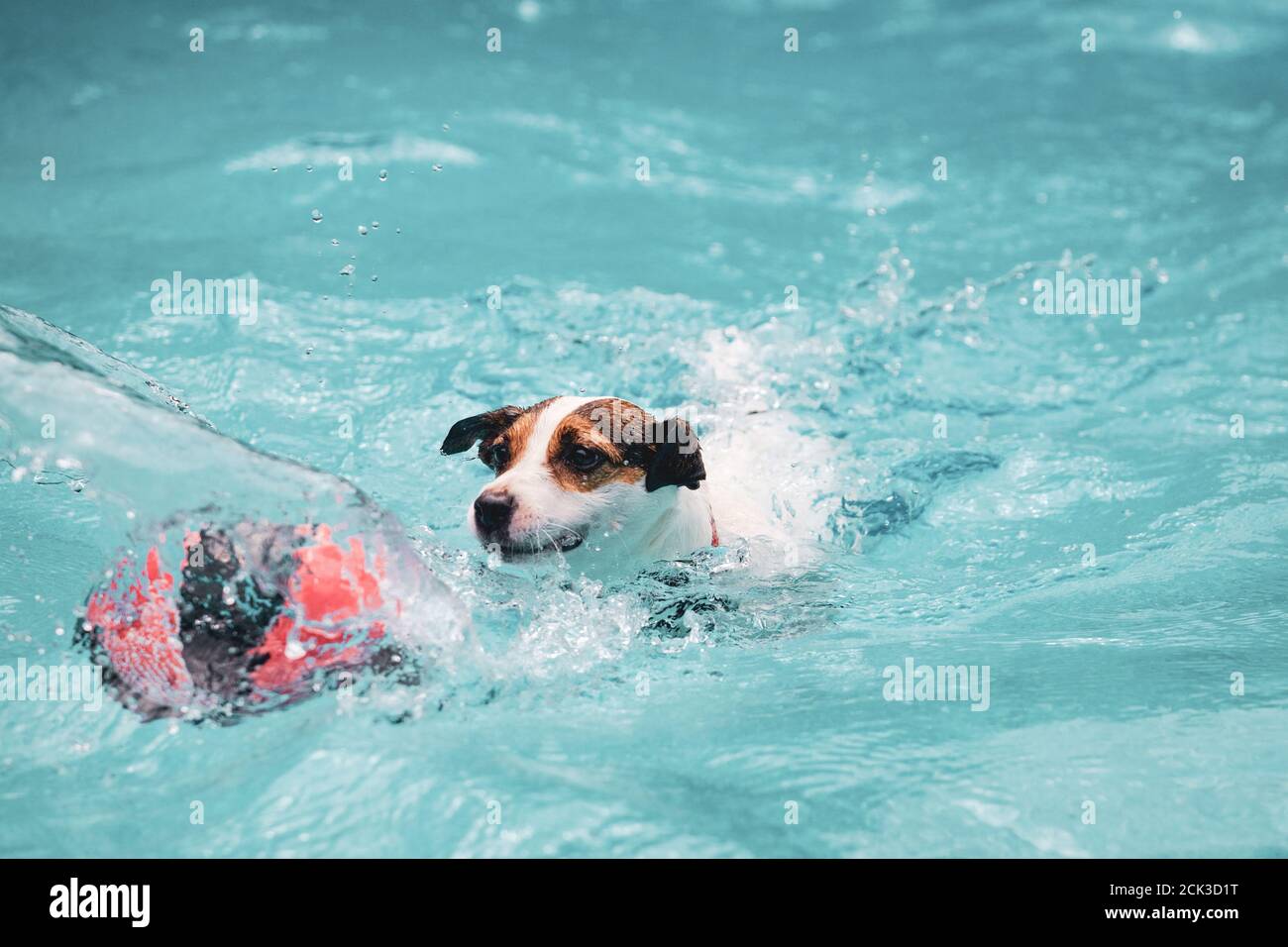 Jack Splash High Resolution Stock Photography and Images - Alamy