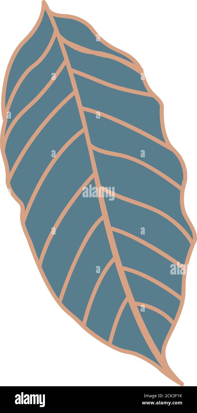 Isolated leaf design of Natural floral nature and plant theme Vector ...