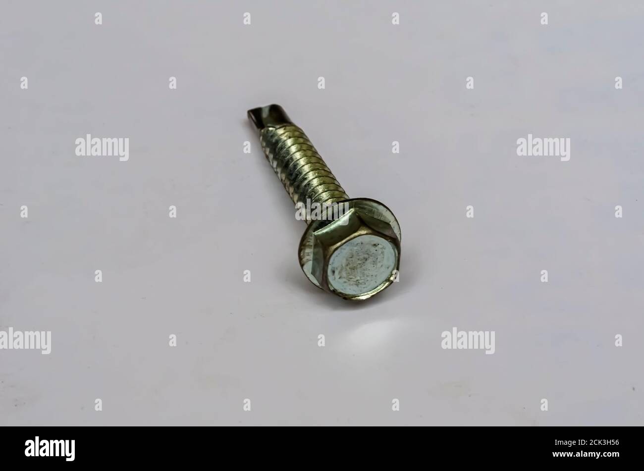 The Head Of A Short Screw Stock Photo - Alamy