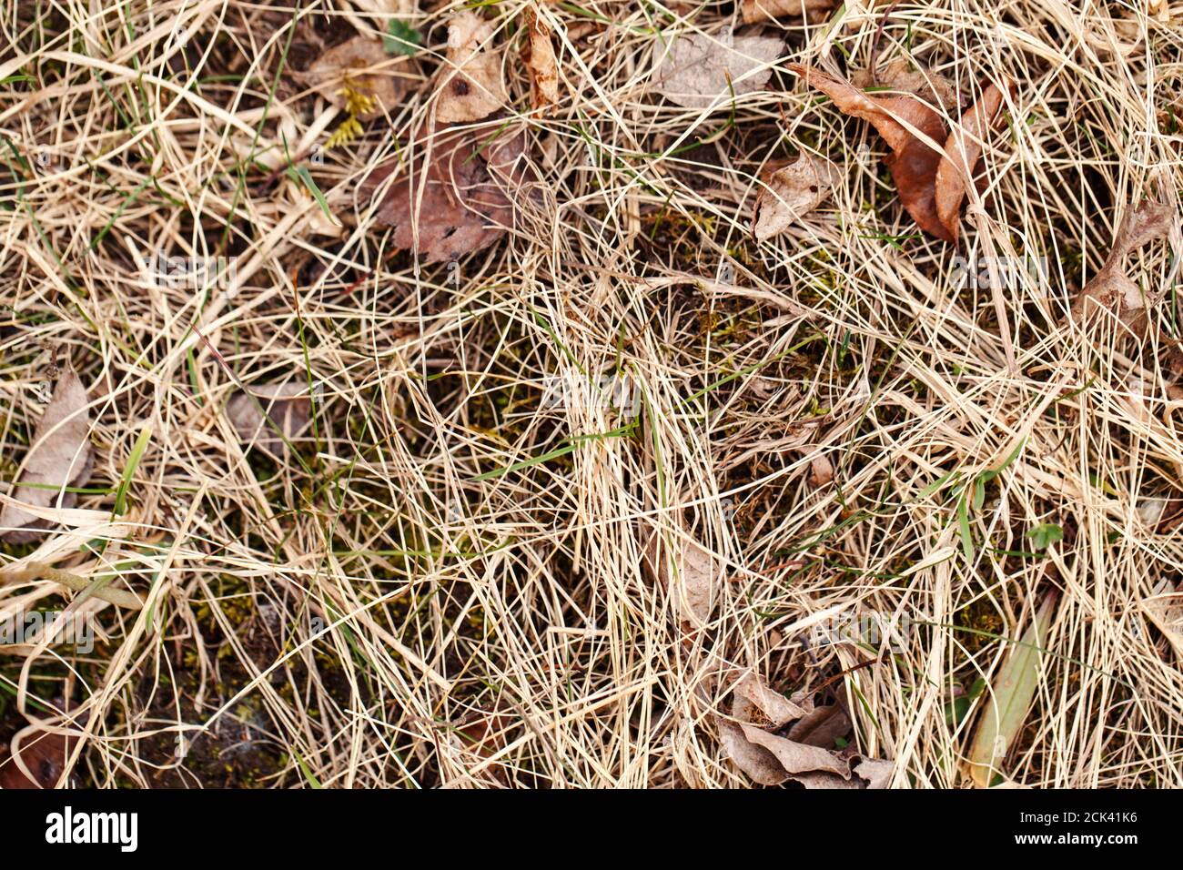 Overhead grass texture hi-res stock photography and images - Alamy
