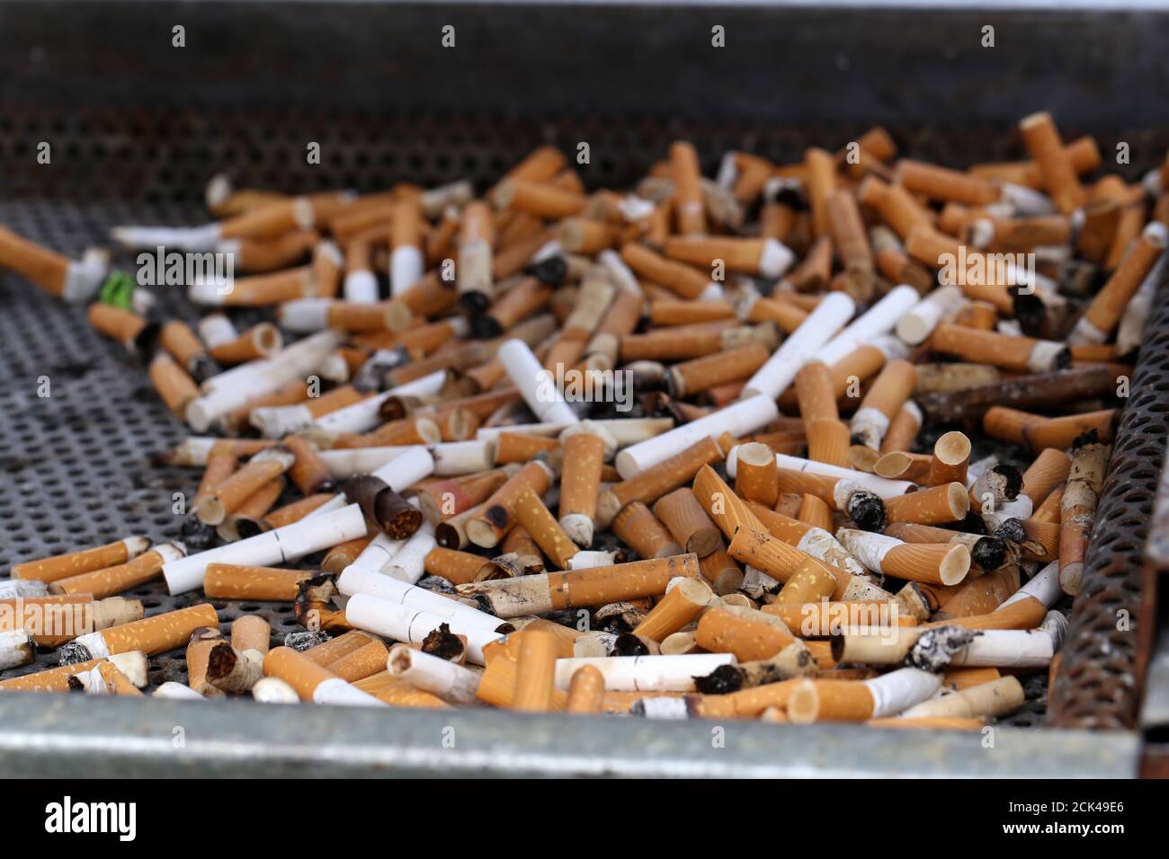 Closeup of cigarette butts bunch Stock Photo - Alamy
