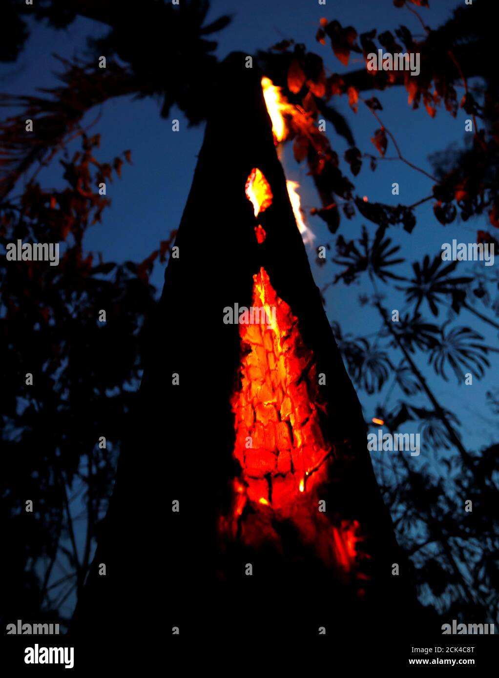 Amazon rainforest burn brazil 2019 hi-res stock photography and images ...