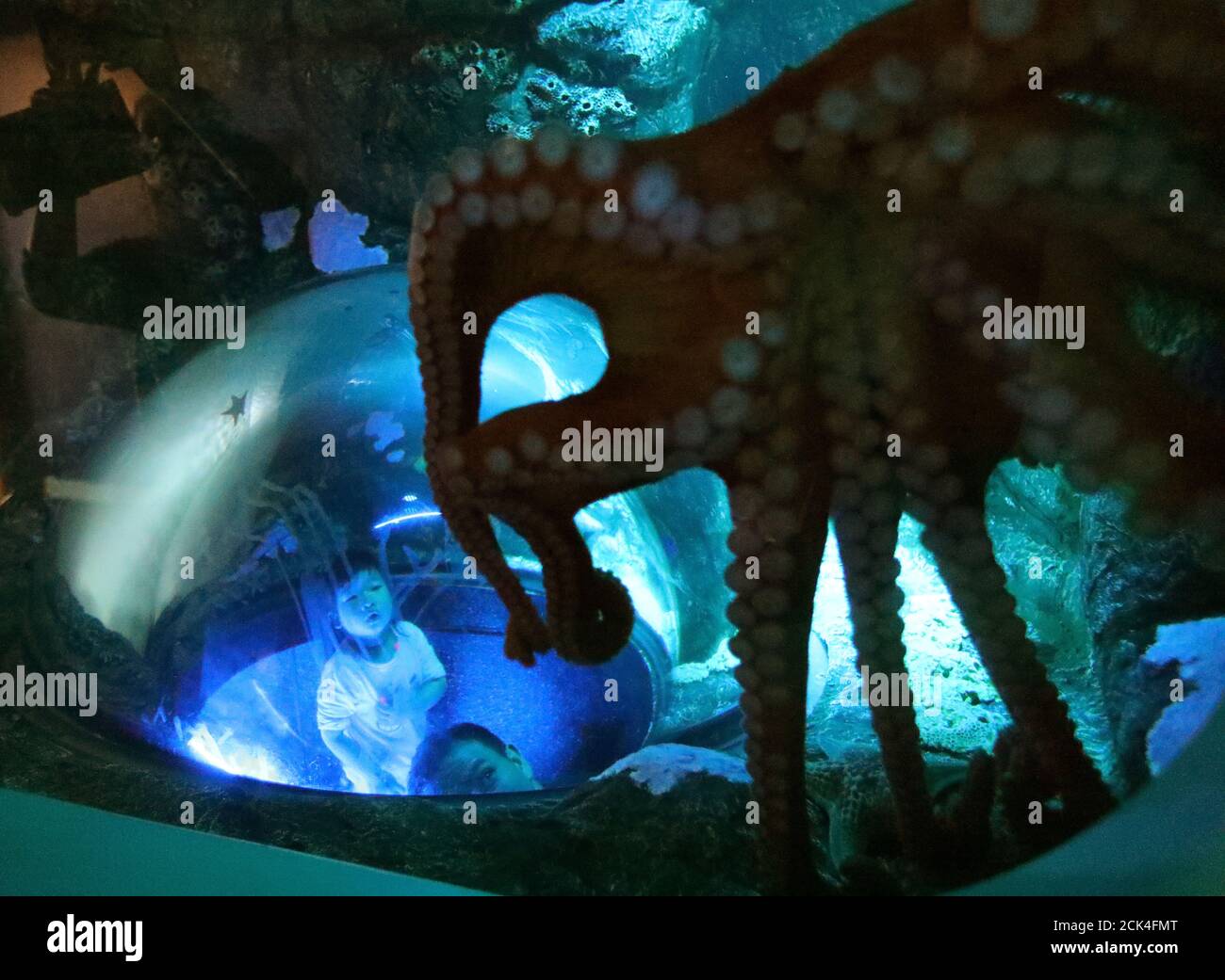 Seaworld san diego ocean explorer hi-res stock photography and images ...