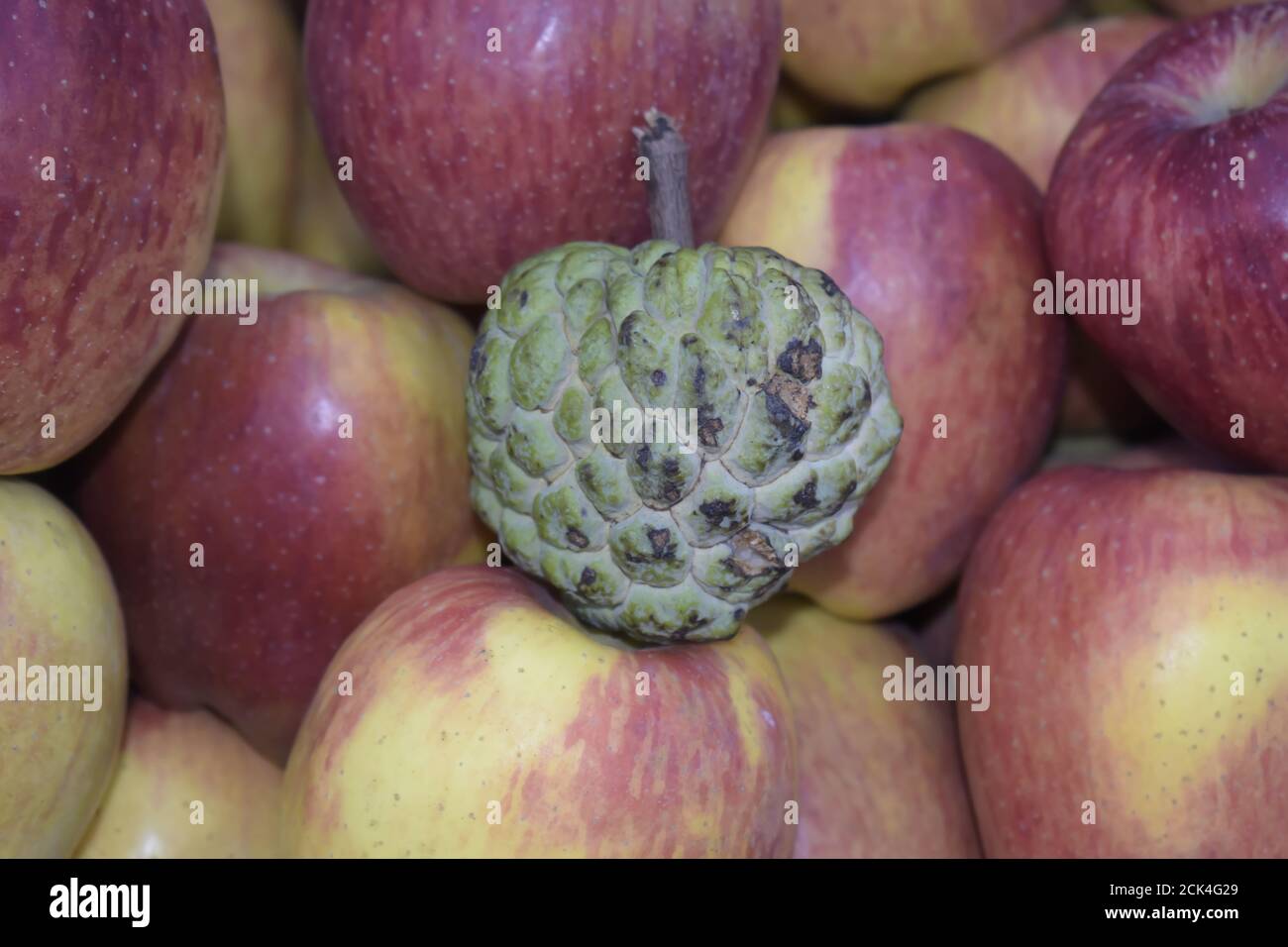 Atis fruit hi-res stock photography and images - Alamy