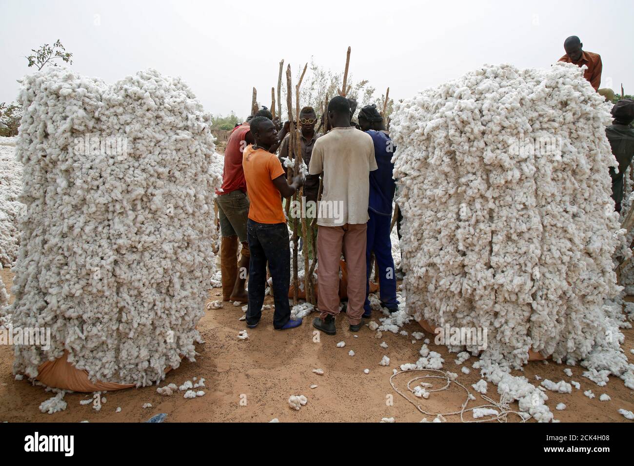 Cotton Market High Resolution Stock Photography and Images - Alamy