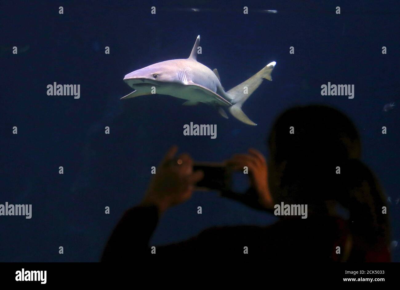 Best nature photograph hi-res stock photography and images - Alamy