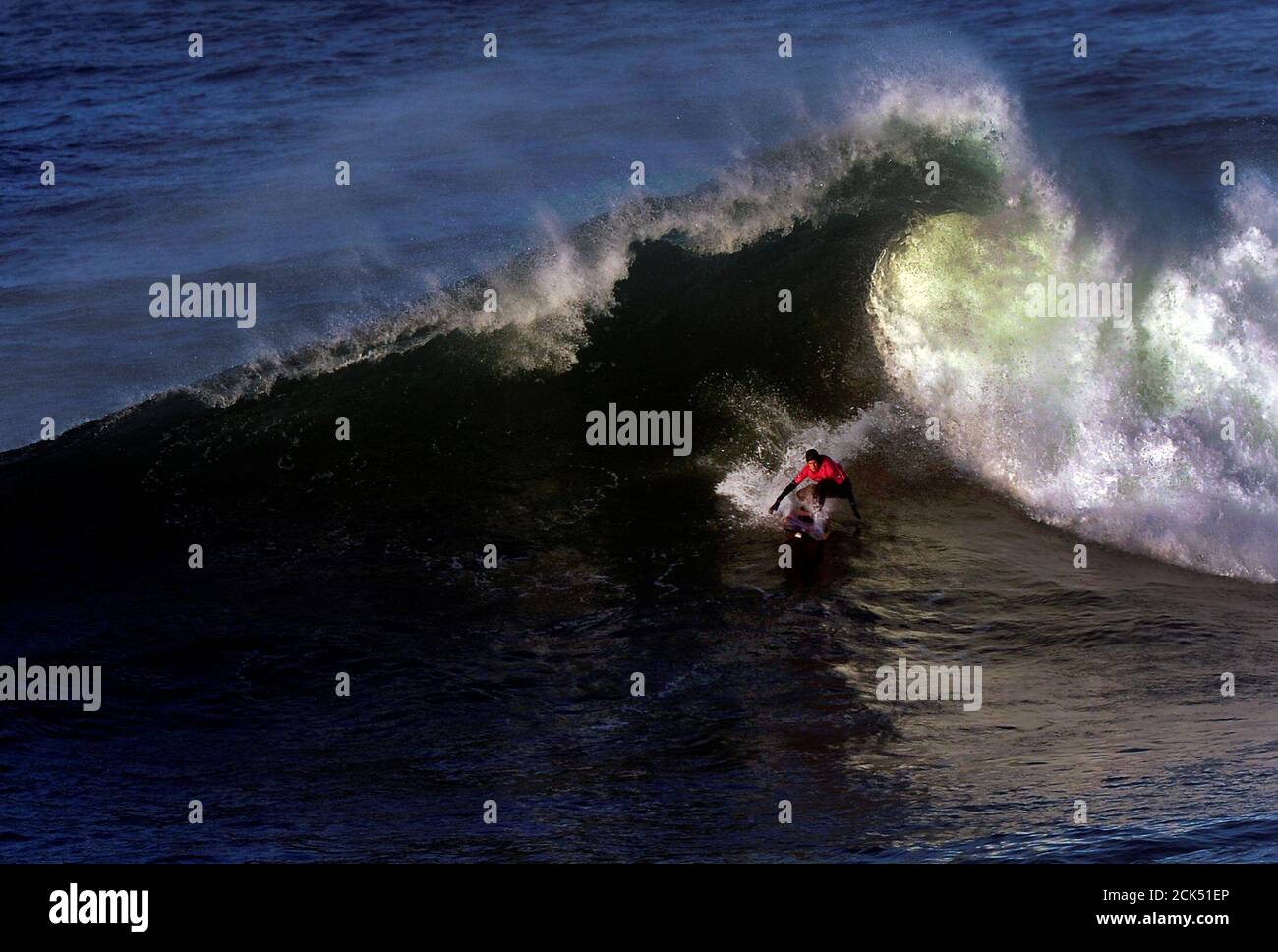 Cow surfing hi-res stock photography and images - Alamy