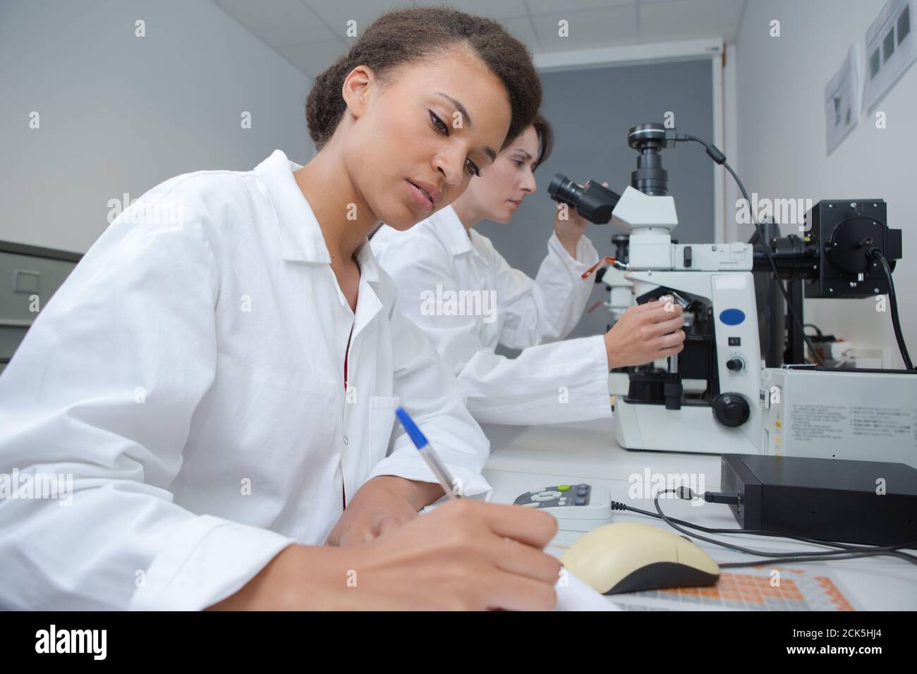 female scientist works in modern biological laboratory Stock Photo - Alamy