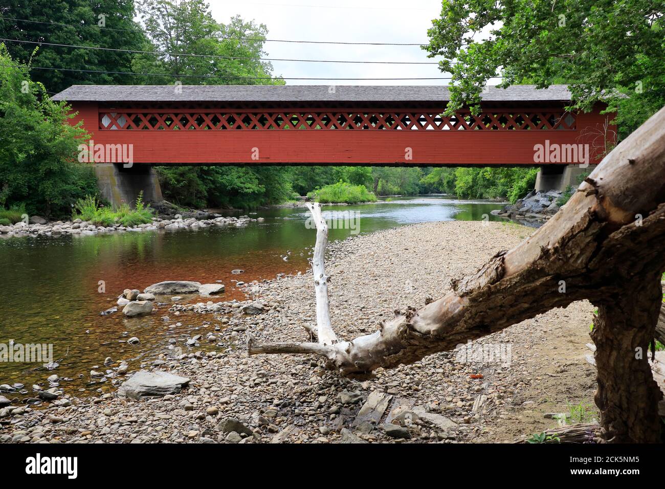 Tree trunk bridge hi-res stock photography and images - Alamy