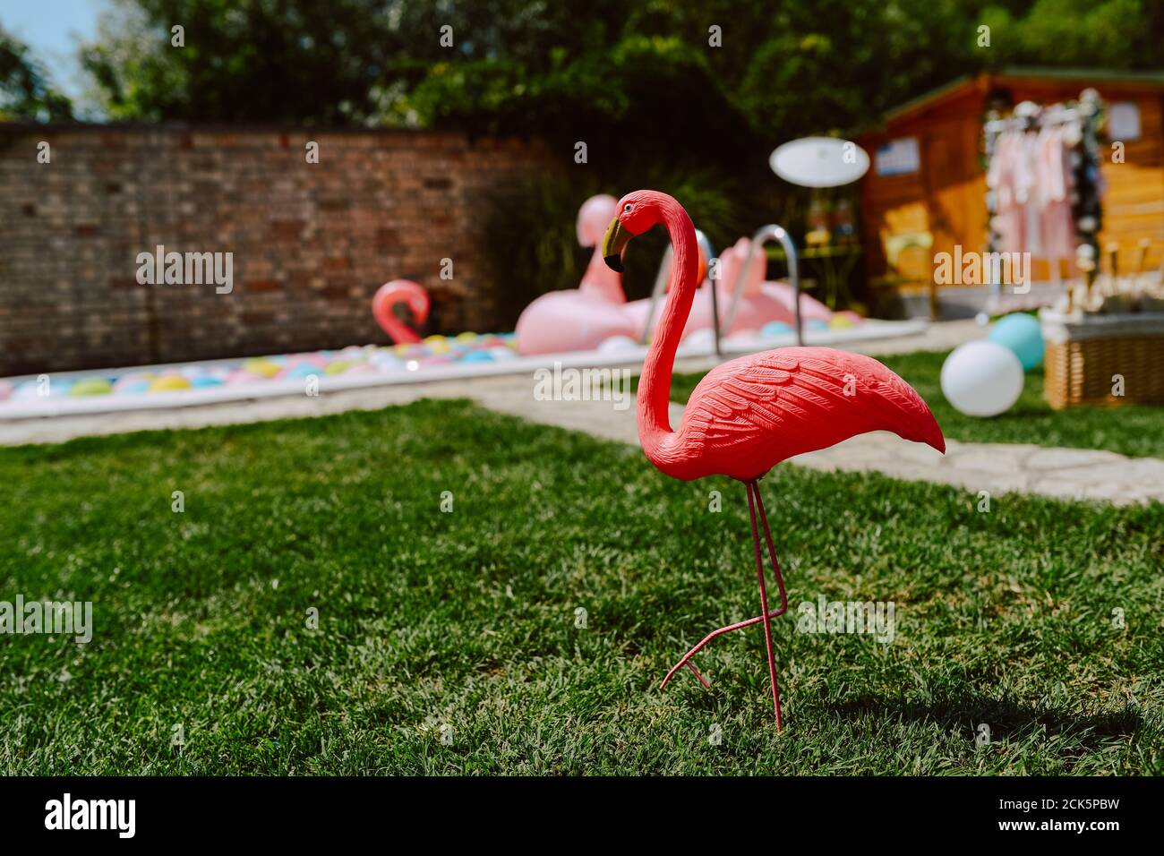 Beautifully decorated yard with pool balloons and pink flamingos ...