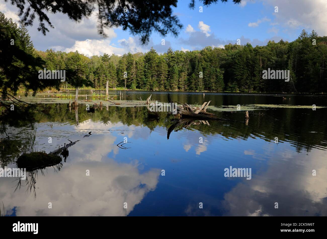 Woodford state park hi-res stock photography and images - Alamy